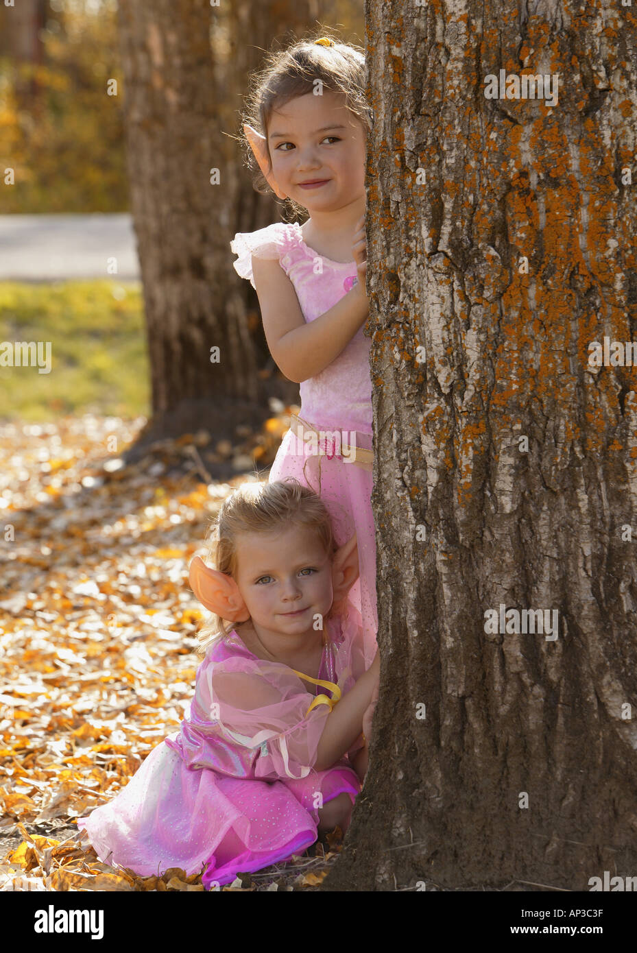 The legend of the elves hi-res stock photography and images - Alamy