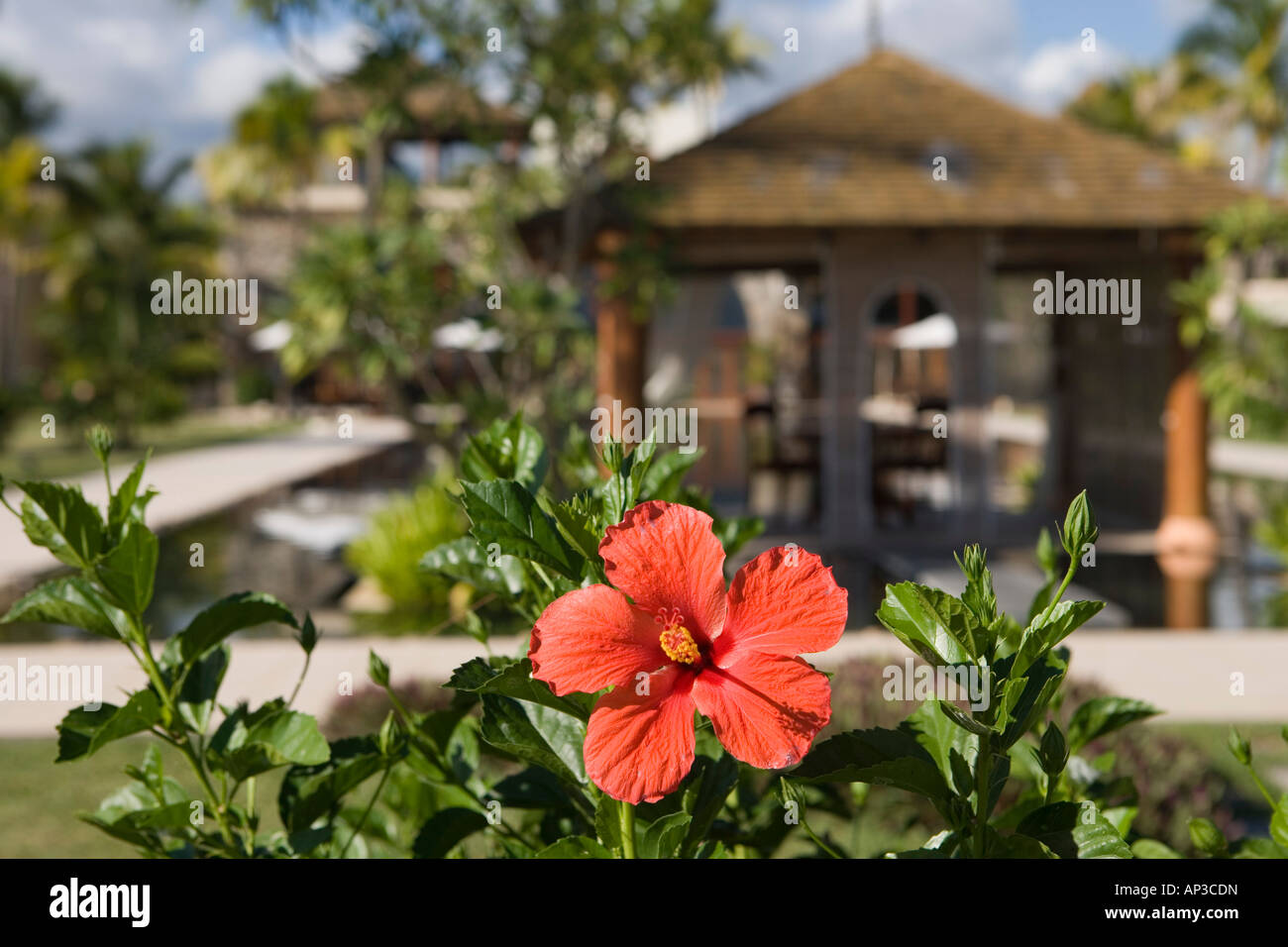Moevenpick resort hi-res stock photography and images - Alamy
