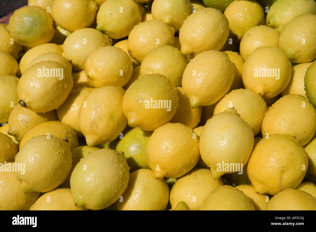 Lemons at Port Louis Central Market, Port Louis, Port Louis District ...