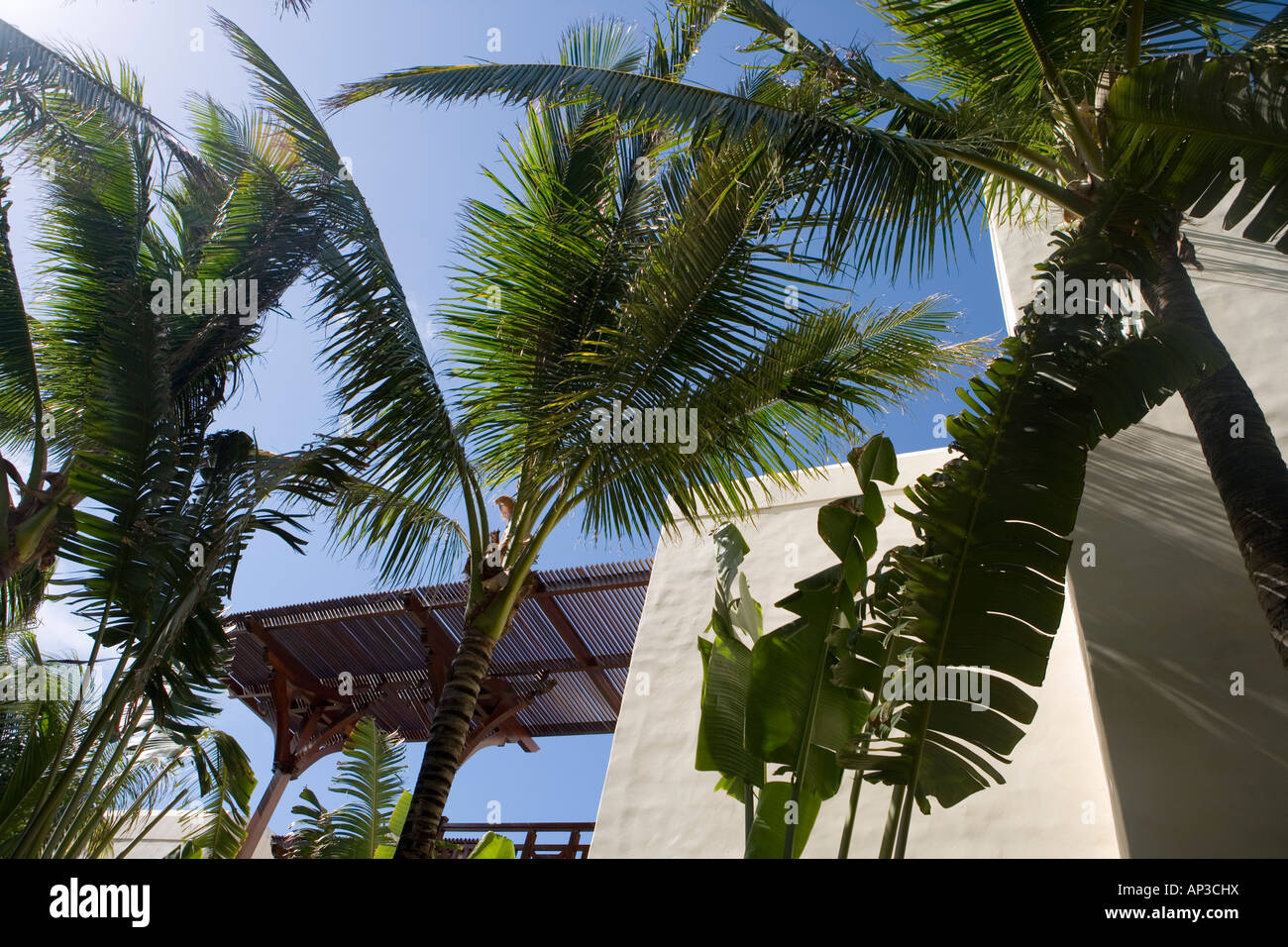 Palm Trees and Resort Architecture, Le Touessrok Resort, Trou d'Eau ...