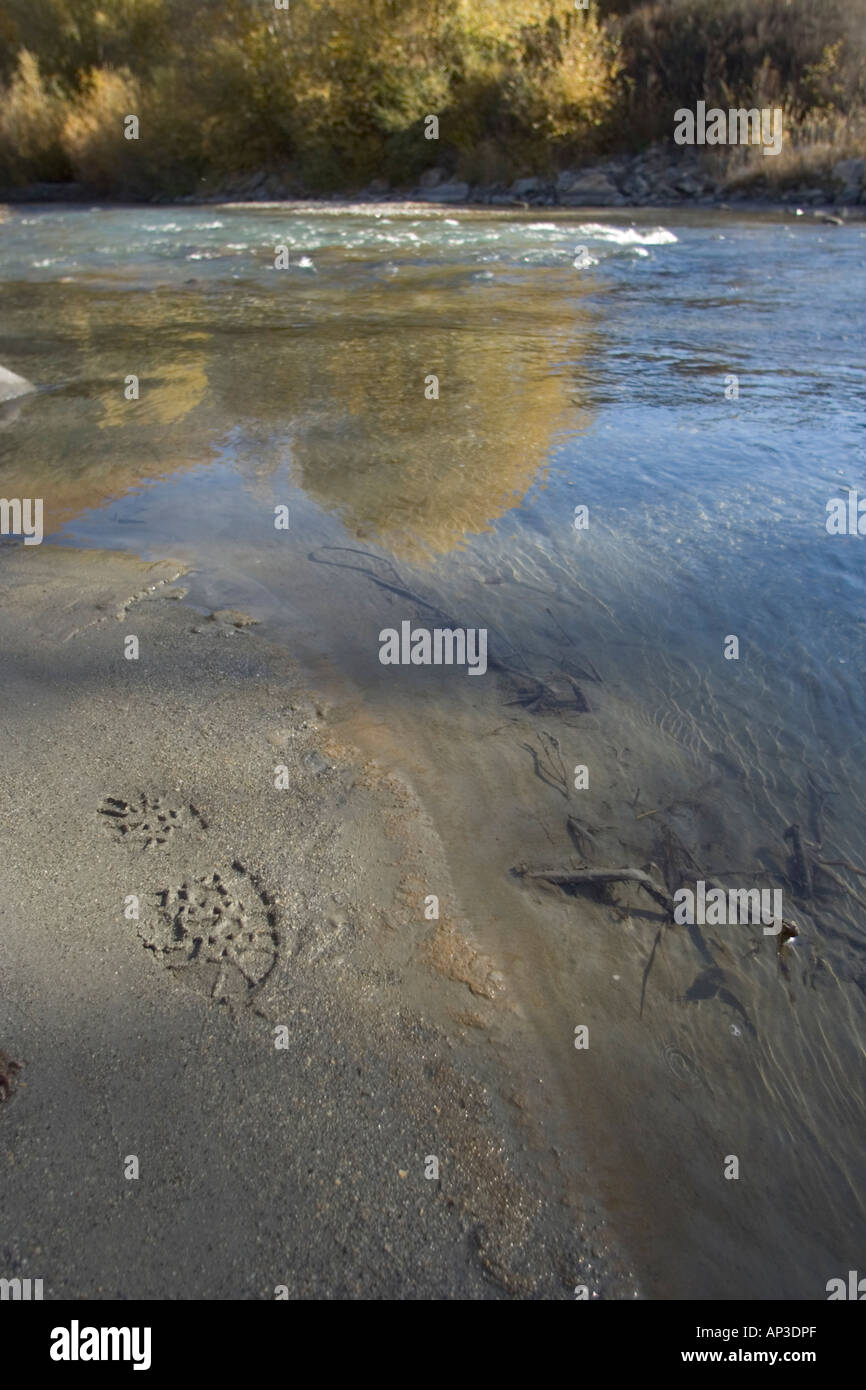 River with boot footprint in sandy shore Stock Photo - Alamy