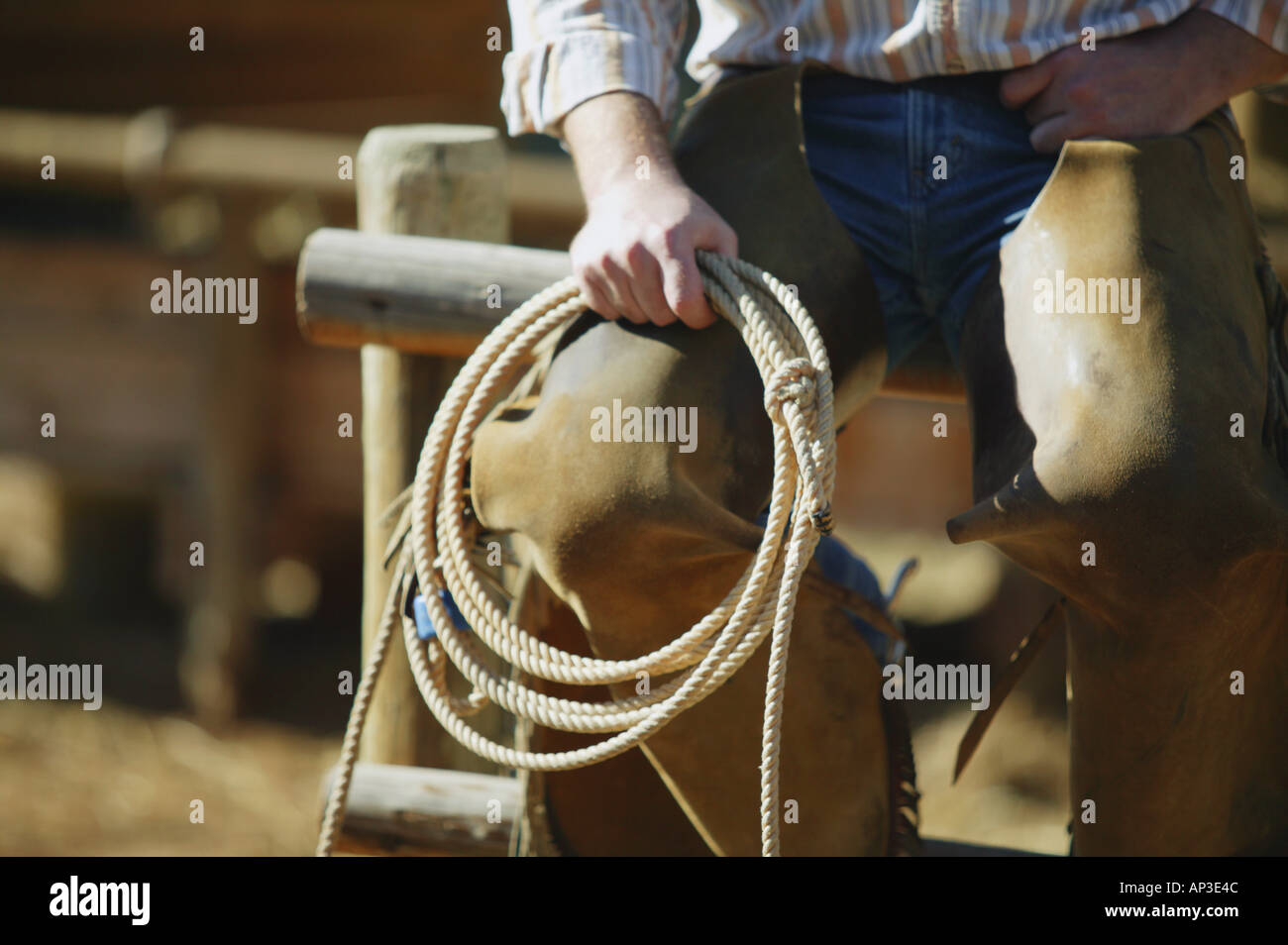 Cowboy holding a lasso Stock Photo - Alamy