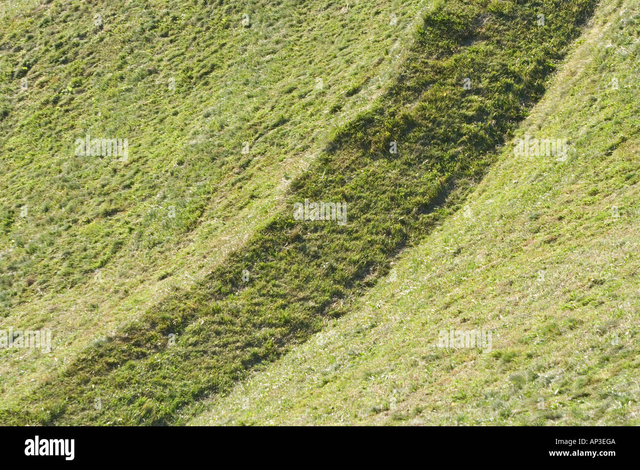Hay alps making hay harvest hi-res stock photography and images - Alamy