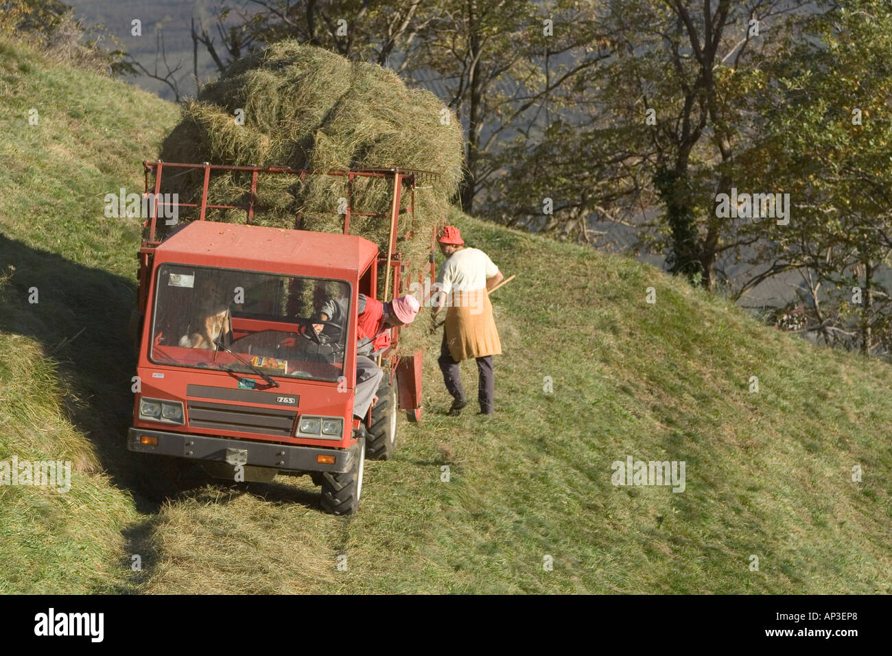 Hay alps making hay harvest hi-res stock photography and images - Alamy