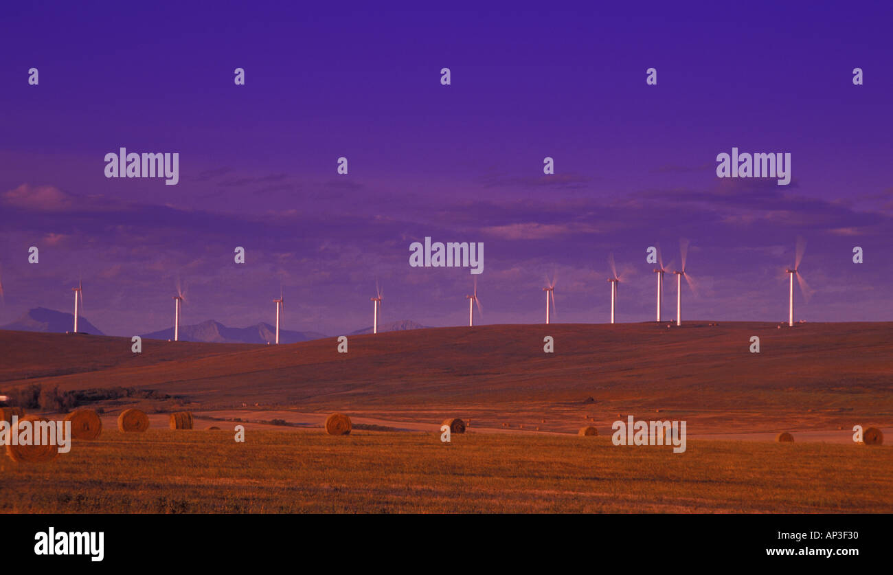 Wind turbines farm straw hi-res stock photography and images - Alamy