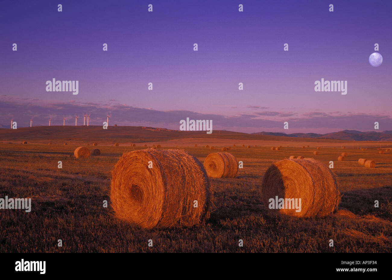 Hay bales and windmill hi-res stock photography and images - Alamy