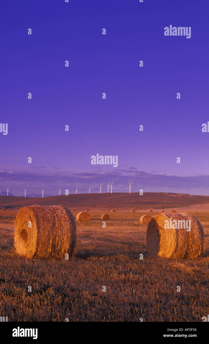 Wind turbines and bales of hay Stock Photo - Alamy