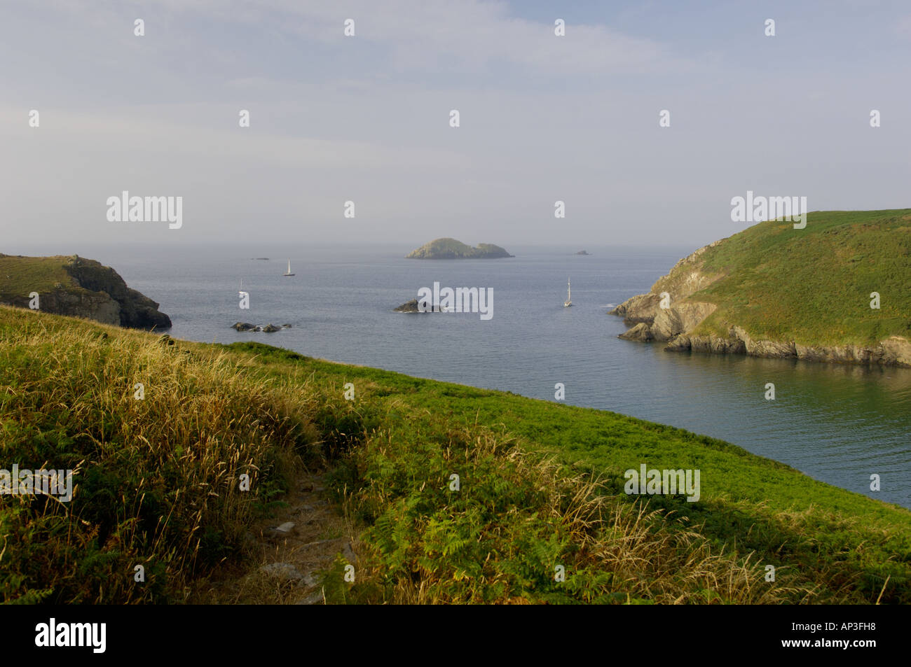 Entrance to solva harbour hi-res stock photography and images - Alamy