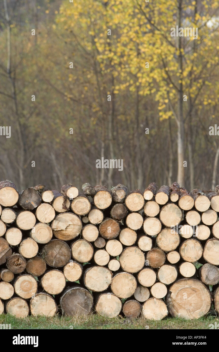 Pile of logs for winter fuel Stock Photo - Alamy