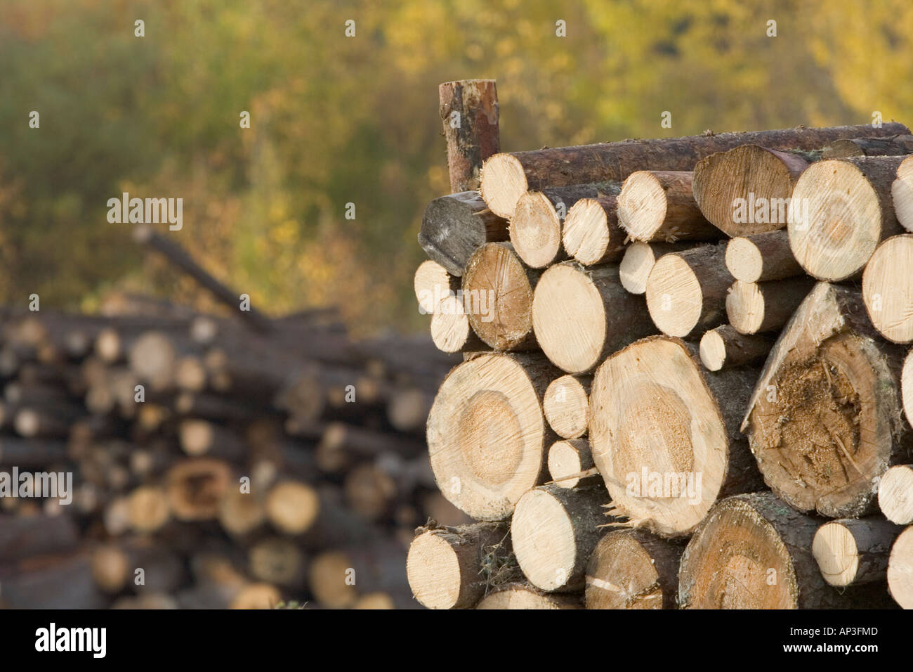 Burn logs horizontal hi-res stock photography and images - Alamy