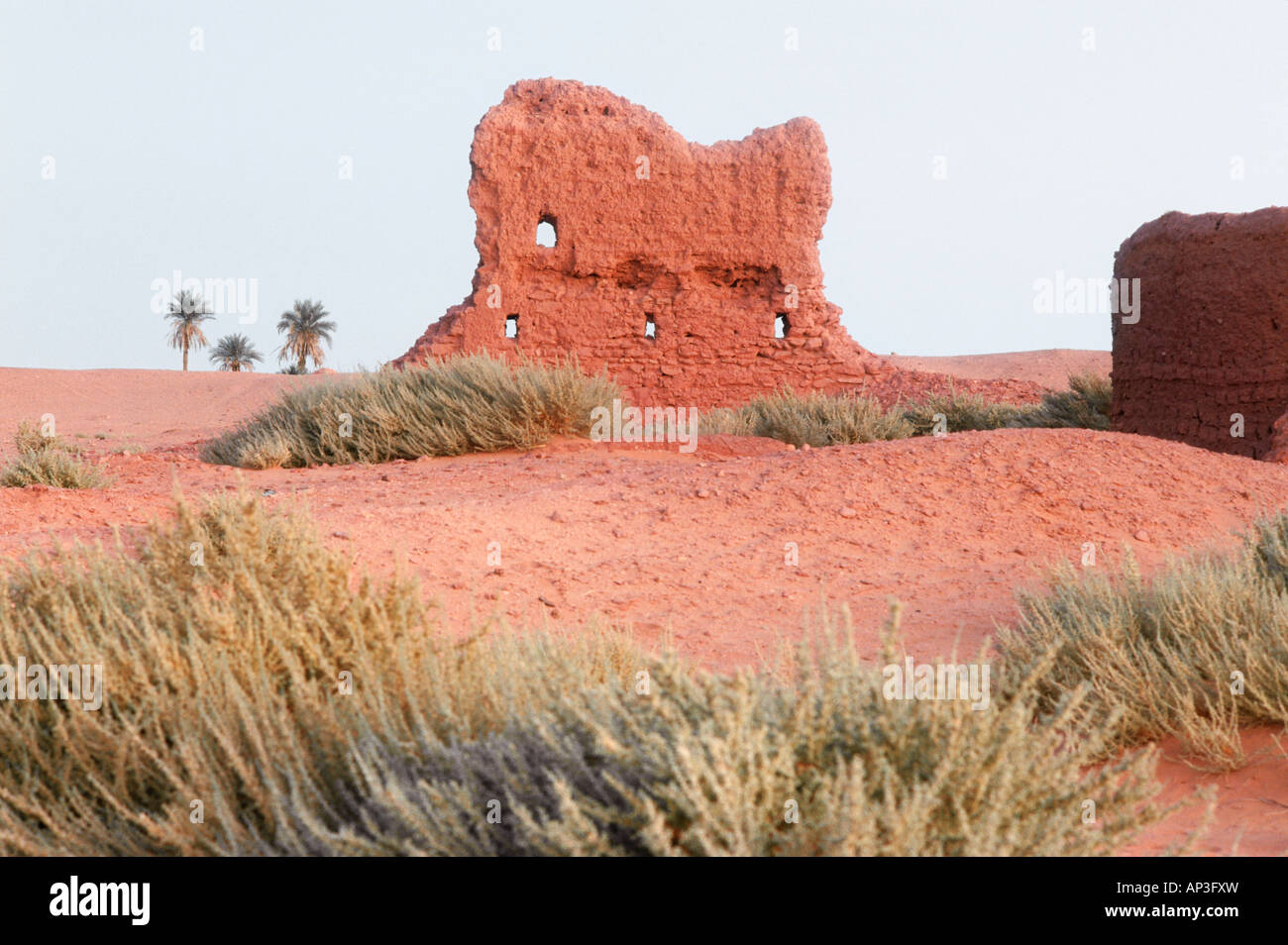 Timimoun Oasis, Algerian Sahaea, Agleria, Africa Stock Photo - Alamy