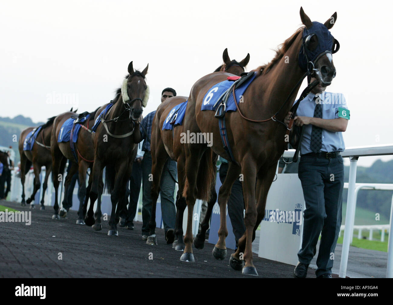 Horse racing chepstow racecourse hi-res stock photography and images ...