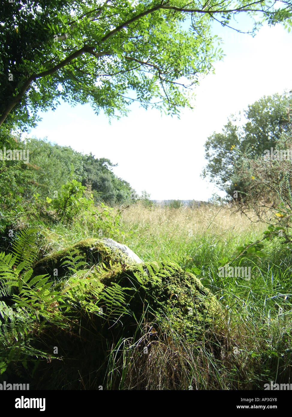 green country landscape scene Stock Photo - Alamy