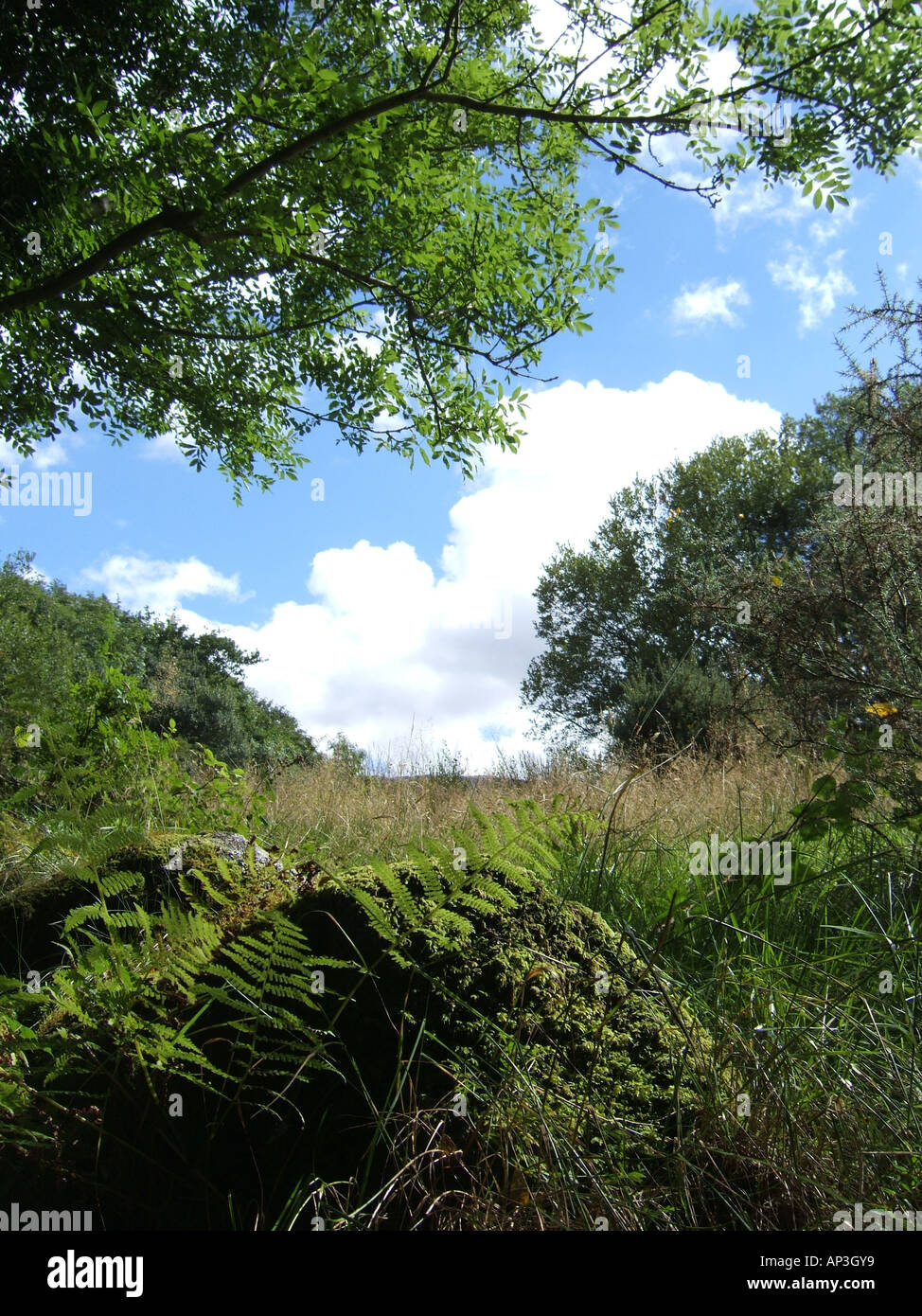 green country landscape scene Stock Photo - Alamy