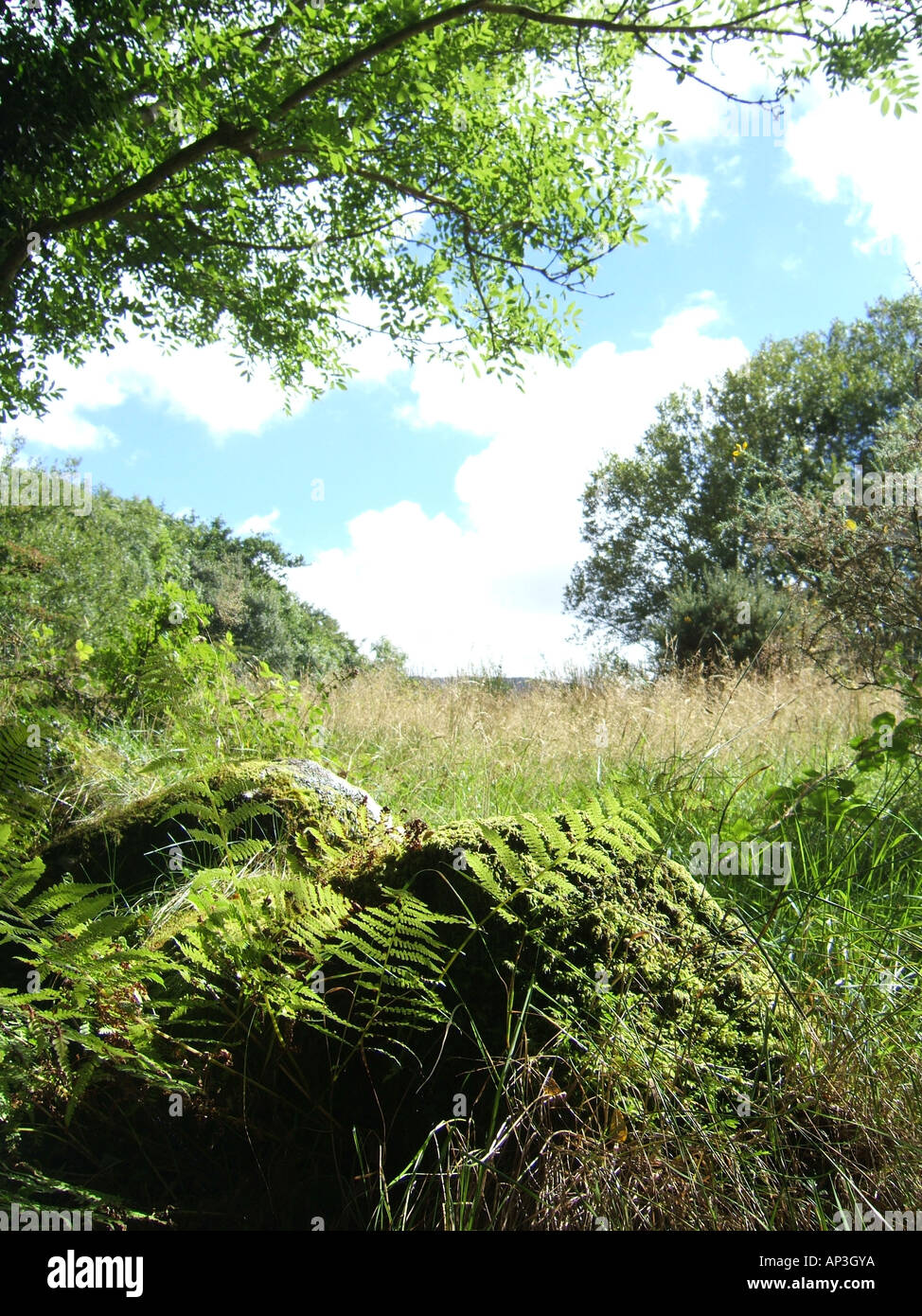 green country landscape scene Stock Photo - Alamy
