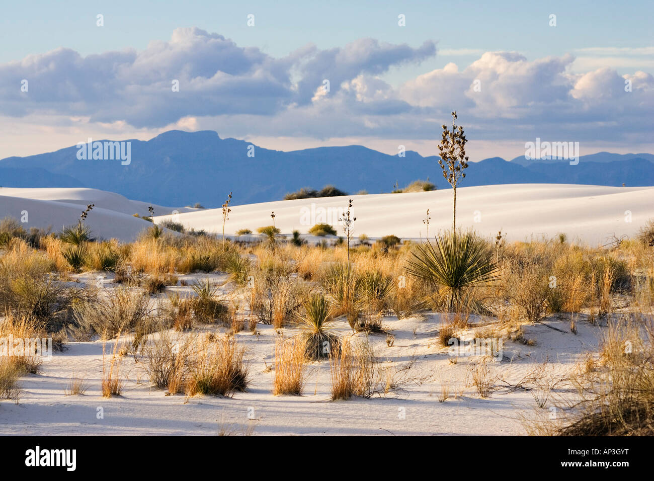 Gypsum dune field, White Sands National Monument, New Mexico, USA Stock ...