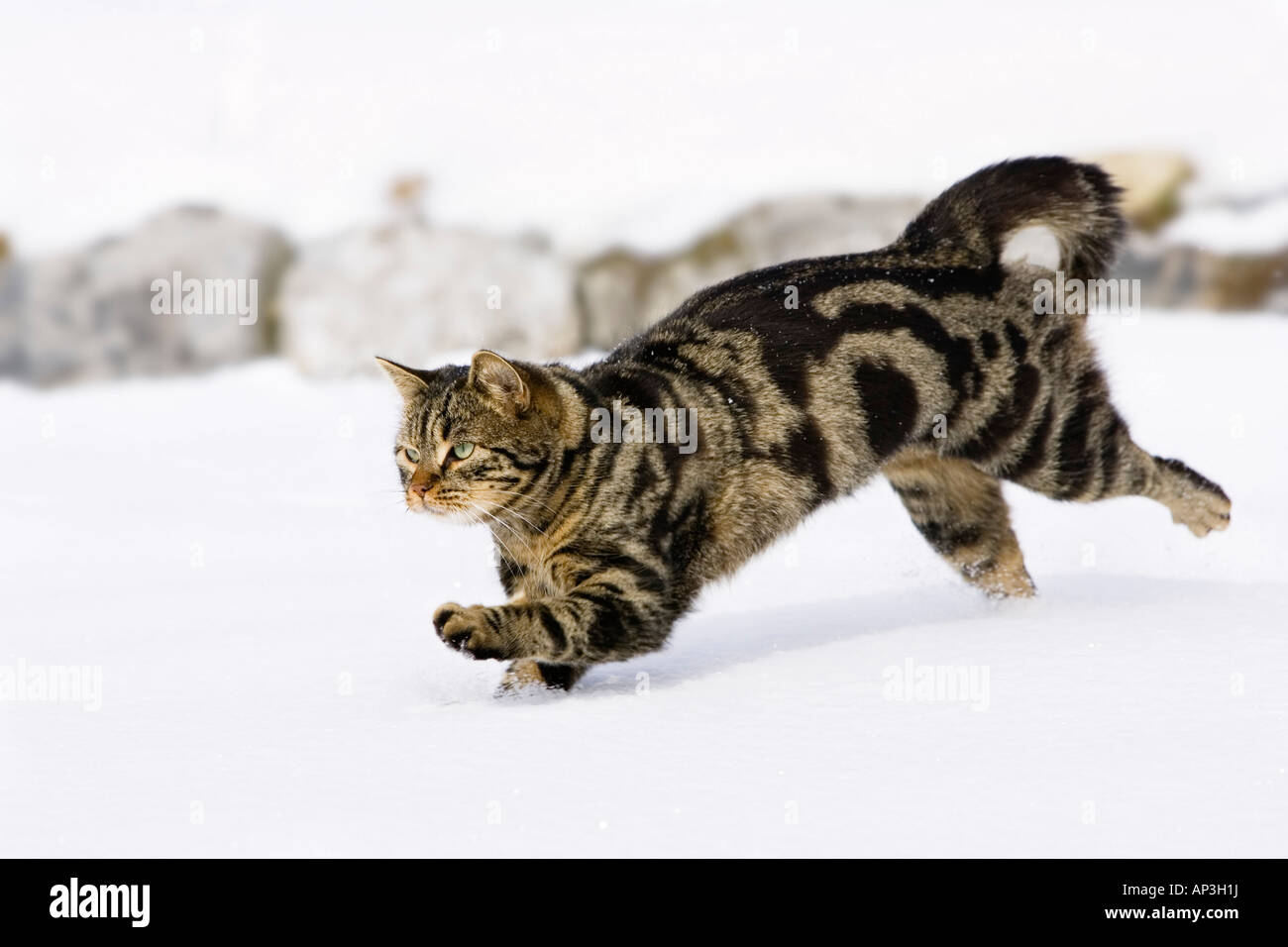 Germany people Cut Out Stock Images & Pictures - Alamy