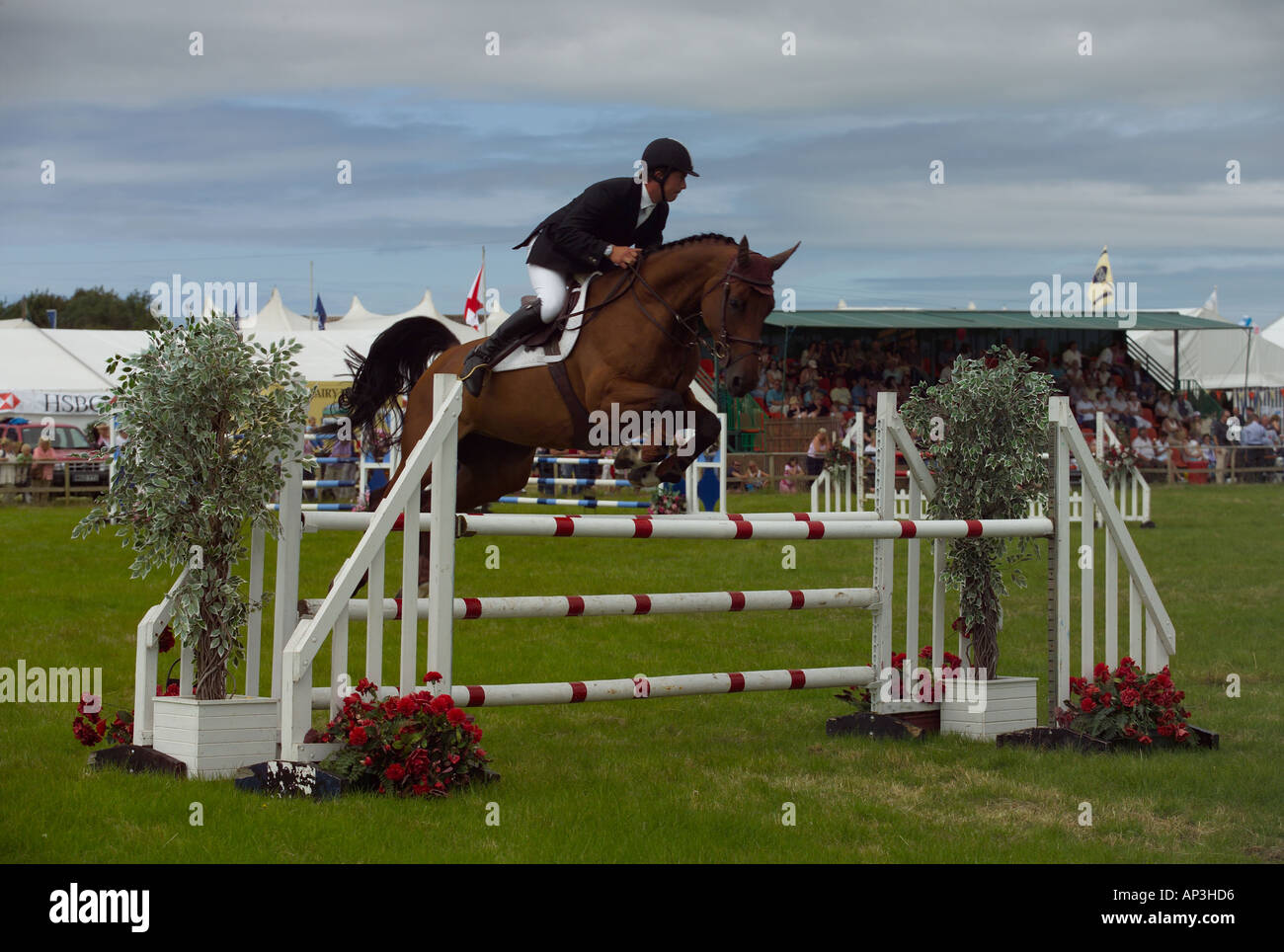 Welsh pony jumping hi-res stock photography and images - Alamy