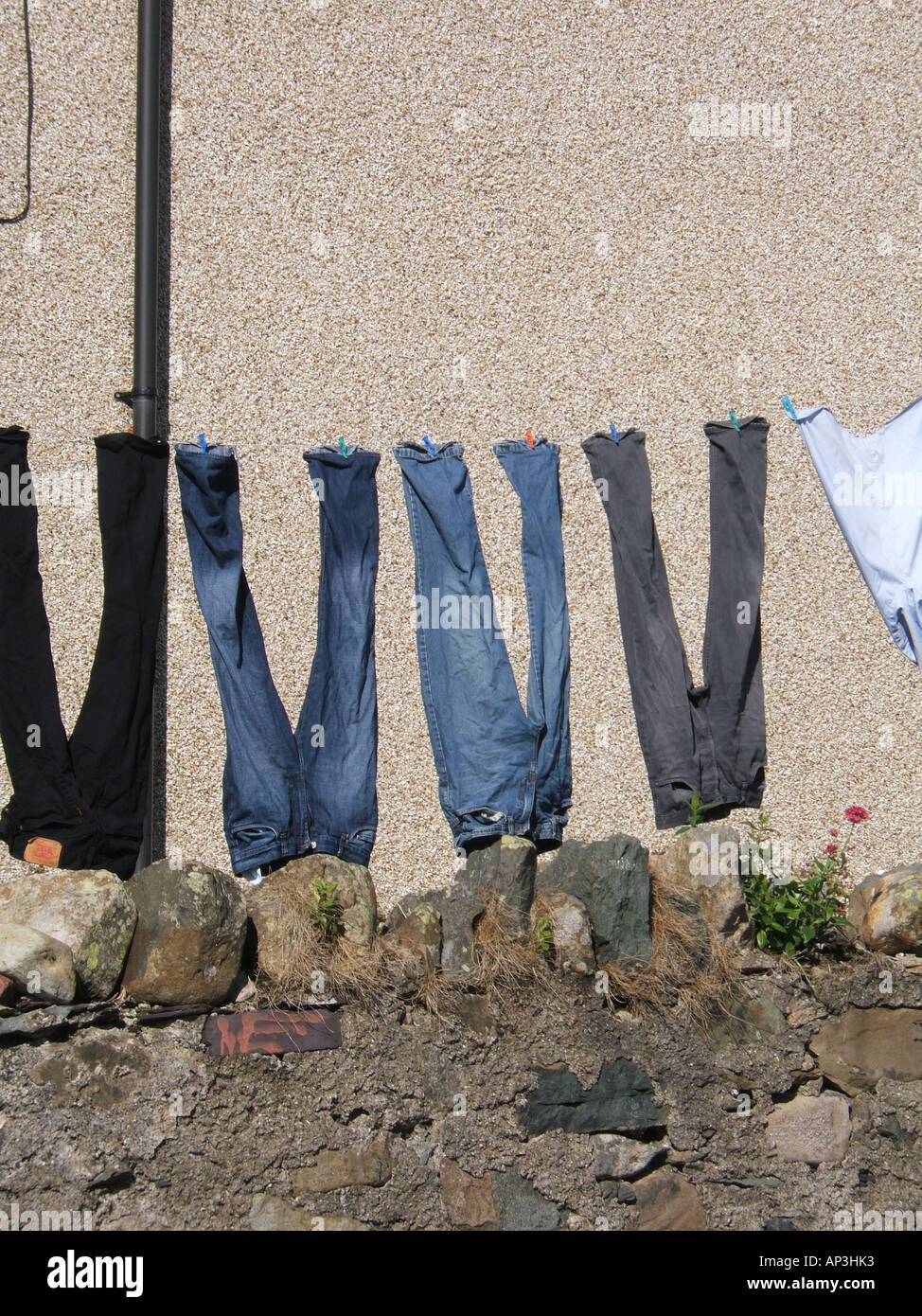 jeans on washing line Stock Photo - Alamy