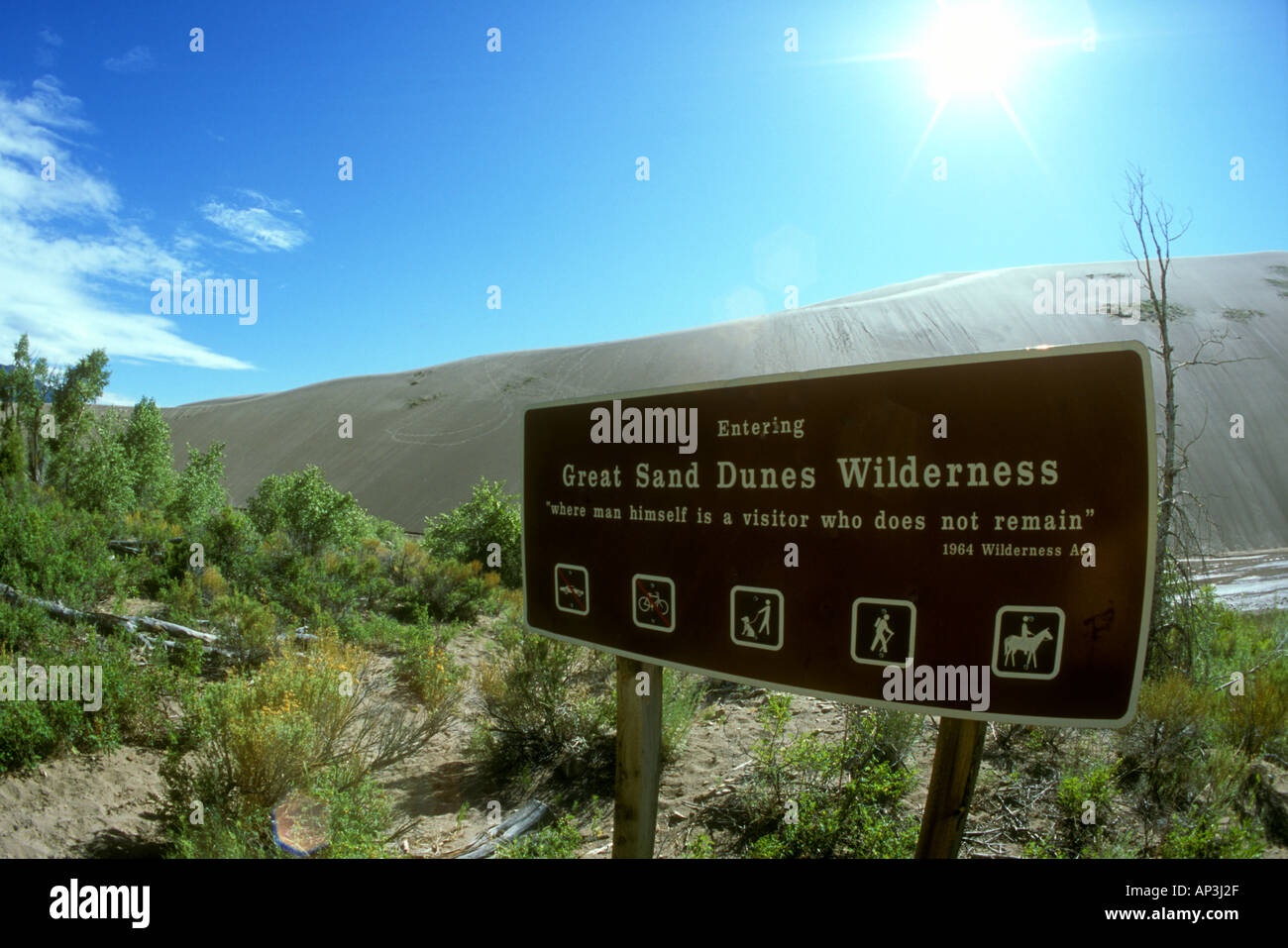 Great Sand Dunes National Park in the United States Colorado Rocky ...