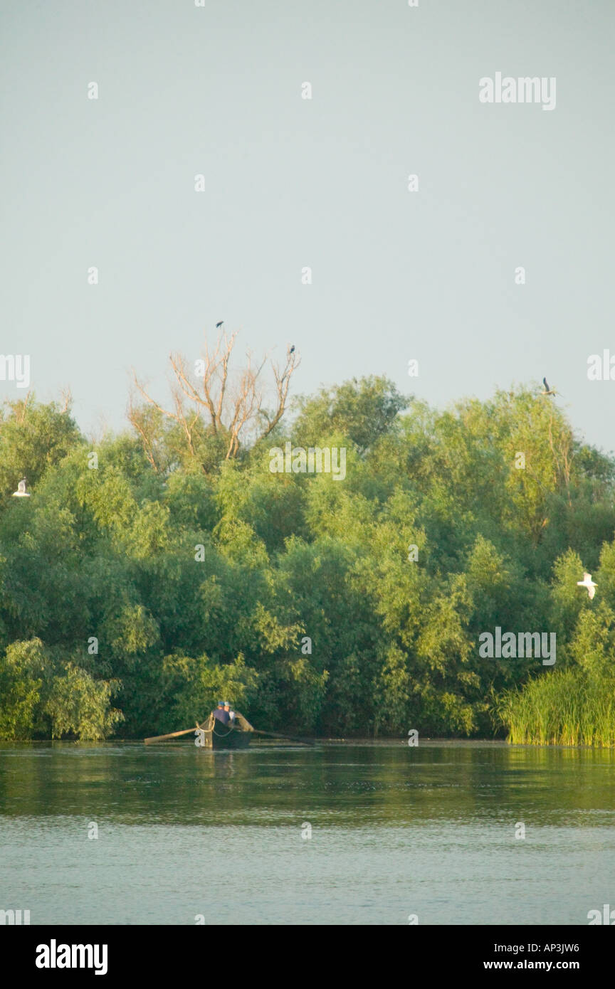 Romania, Danube Delta, Rowing boat Stock Photo - Alamy