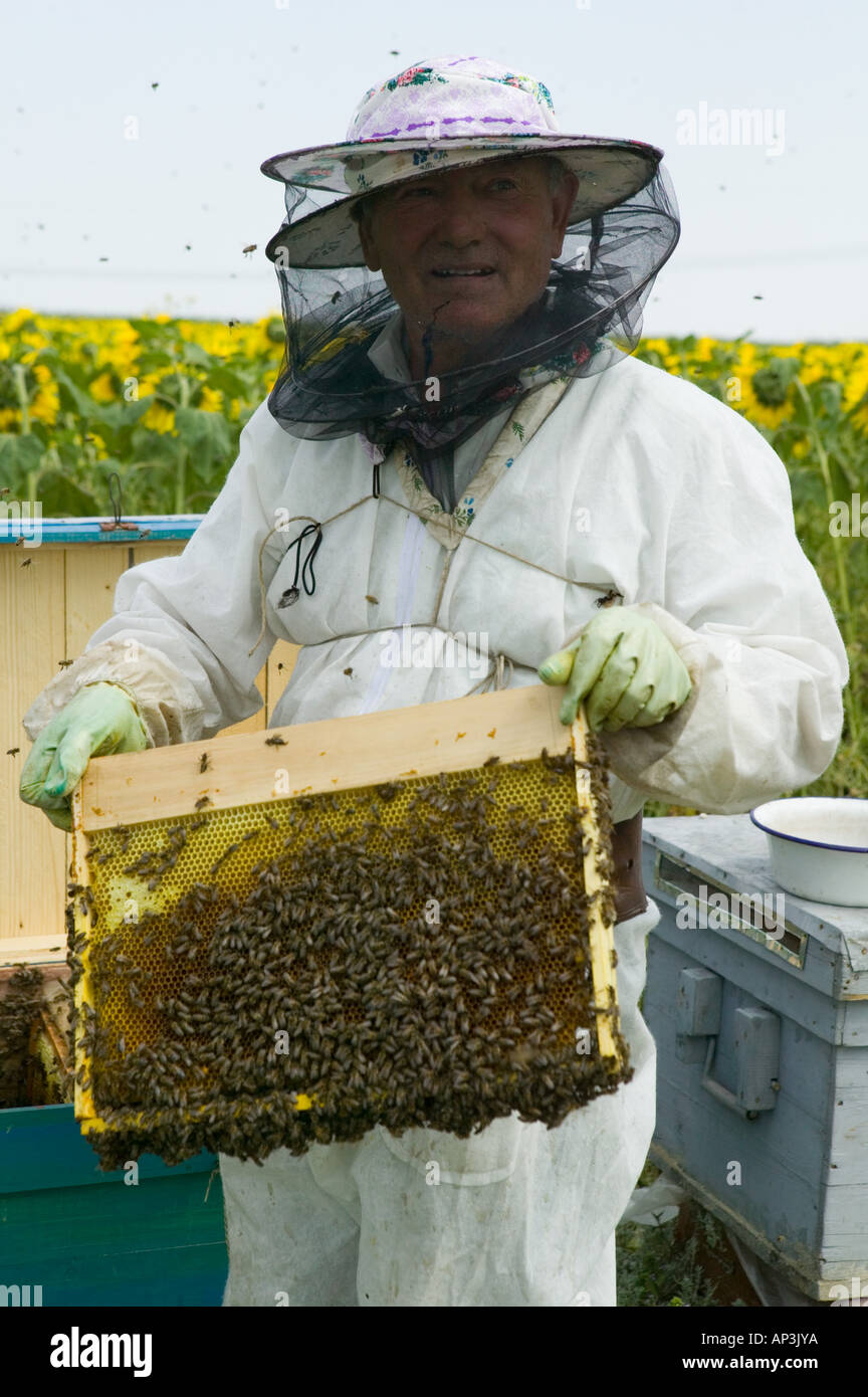 bee keeper, Romania, Danube Delta (MR Stock Photo - Alamy
