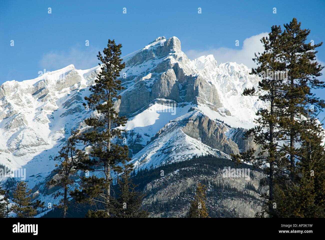 Mountain and trees Stock Photo - Alamy