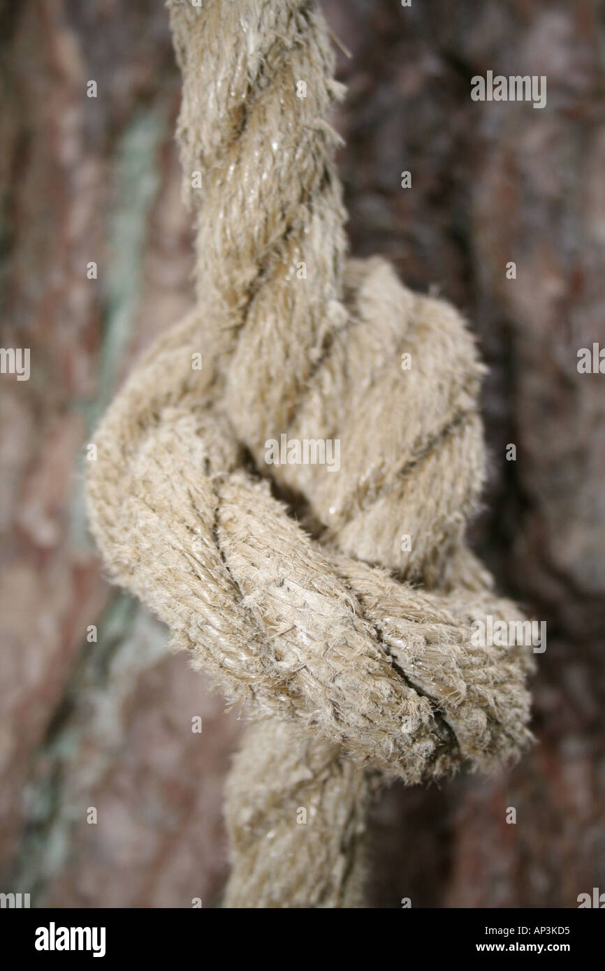 Rope with knot Stock Photo - Alamy