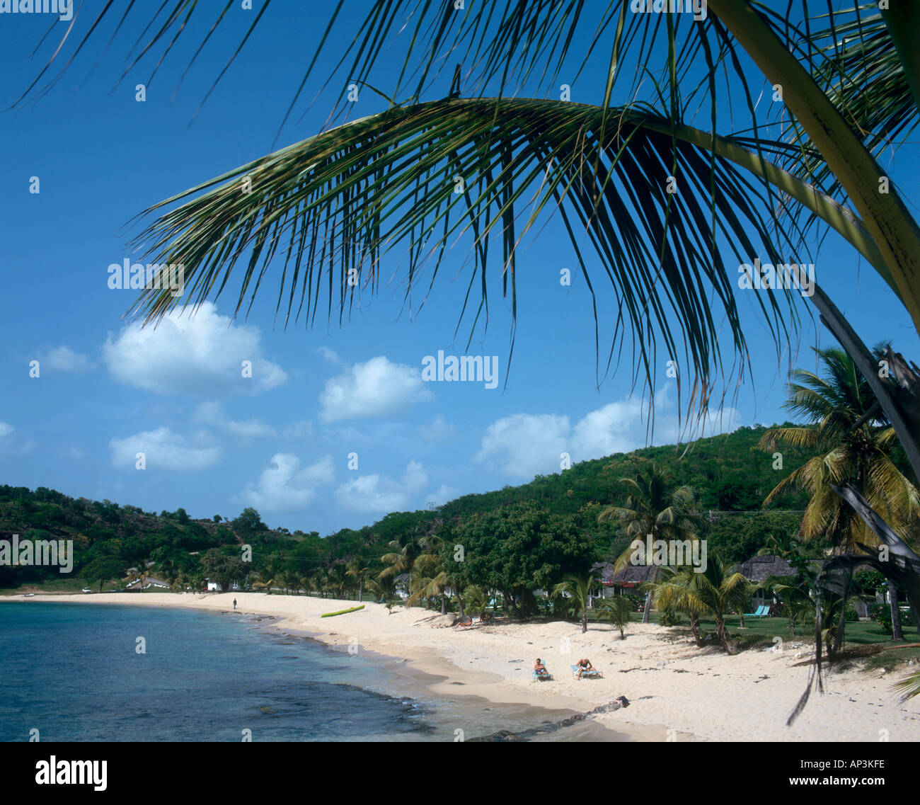 Antigua hawksbill beach hi-res stock photography and images - Alamy