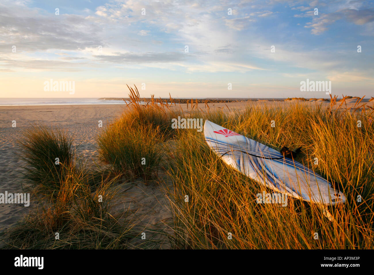 Oregon coast beach and surf board Stock Photo - Alamy