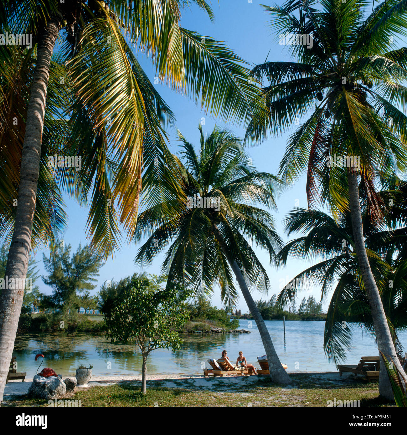 Beachfront Motel, Marathon, Florida Keys, Florida, USA Stock Photo - Alamy