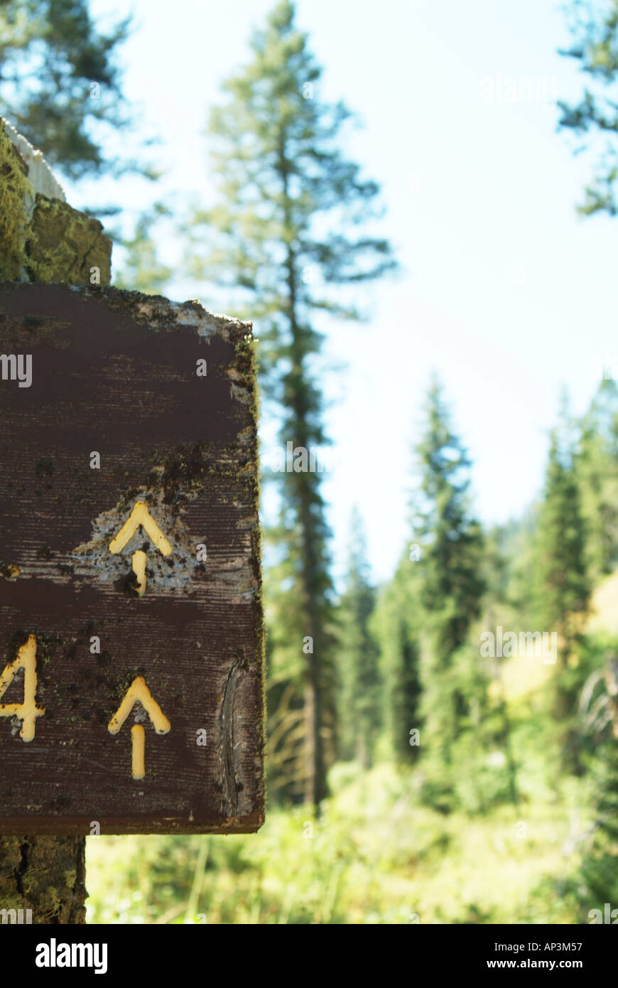 trail sign in forest Stock Photo - Alamy