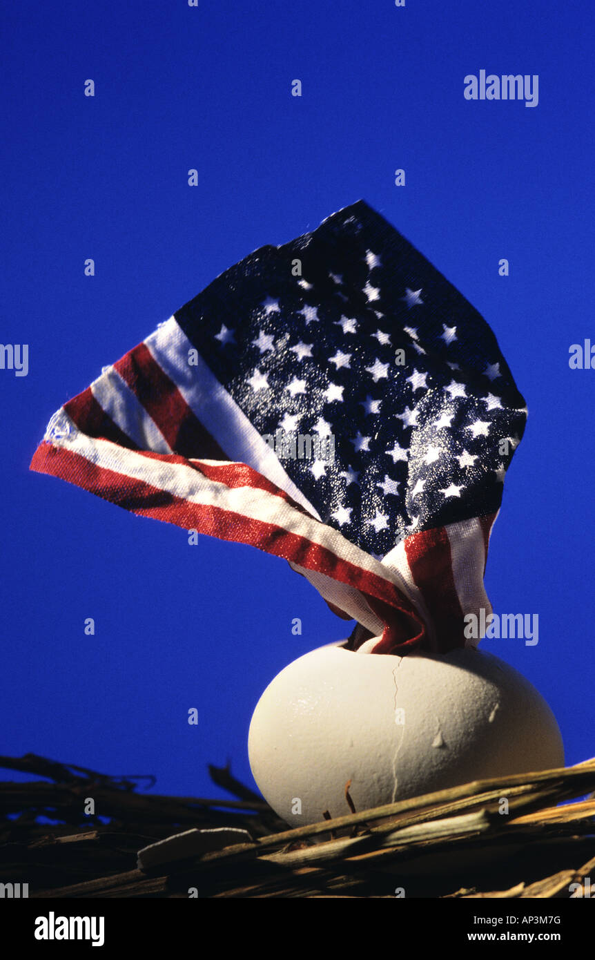 American flag emerging from egg Stock Photo - Alamy