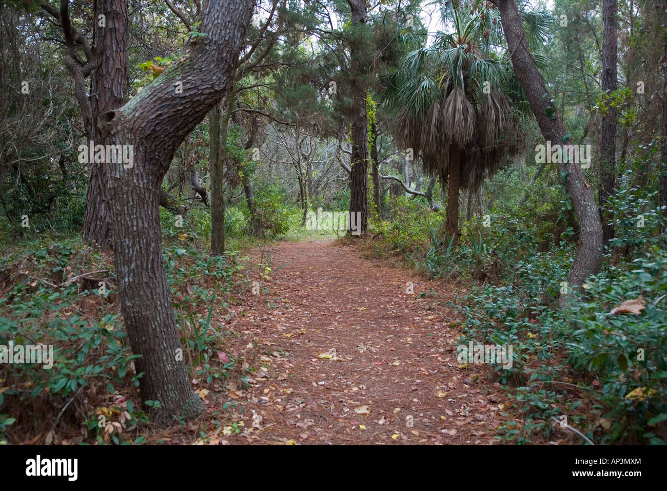 Atsena otie key hi-res stock photography and images - Alamy