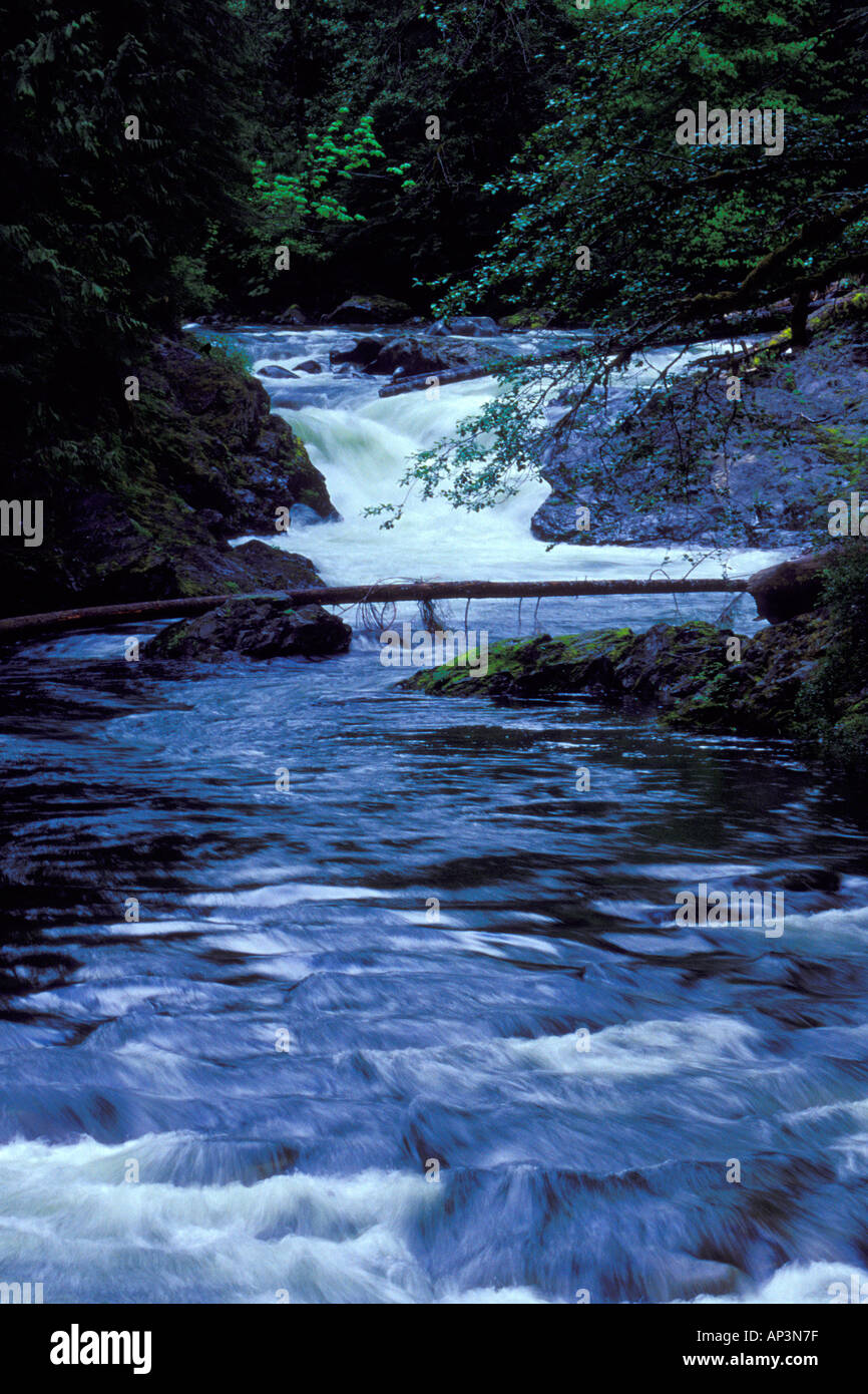 Salmon Cascades Sol Duc River Olympic National Park Stock Photo - Alamy