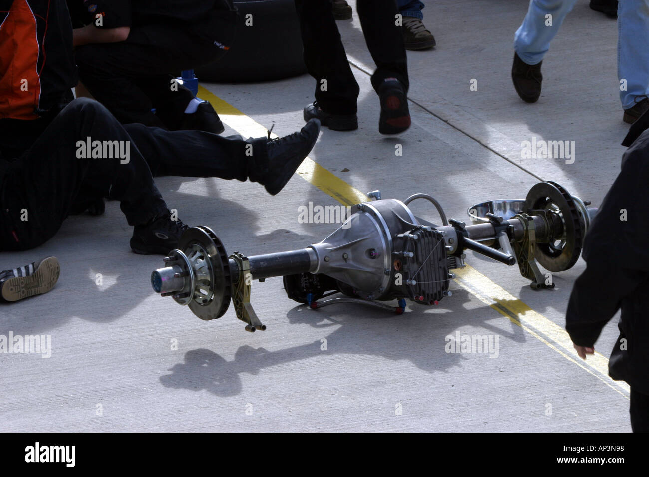 Best Rear End In World