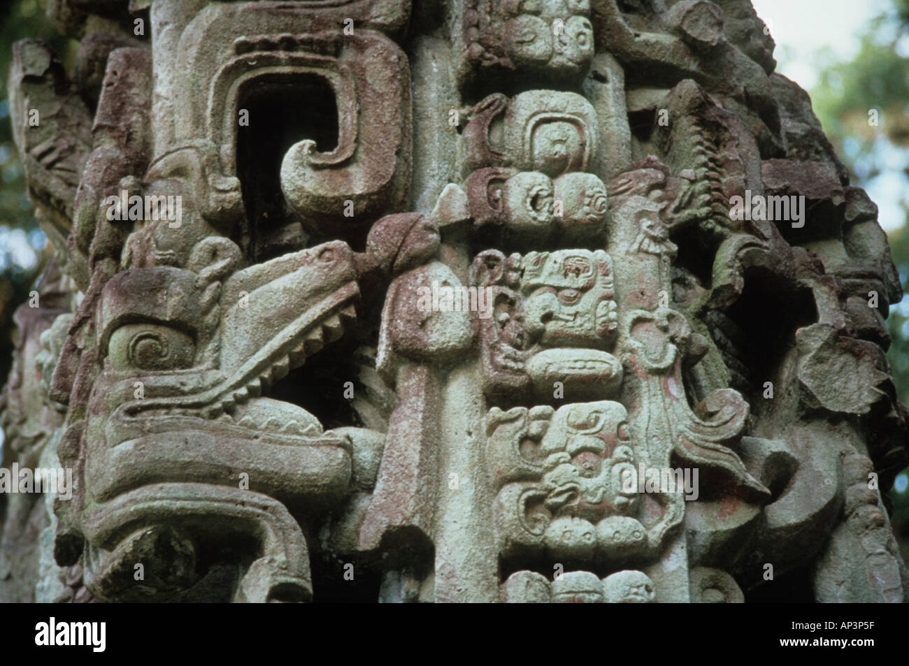 Mayan stela detail Stock Photo - Alamy