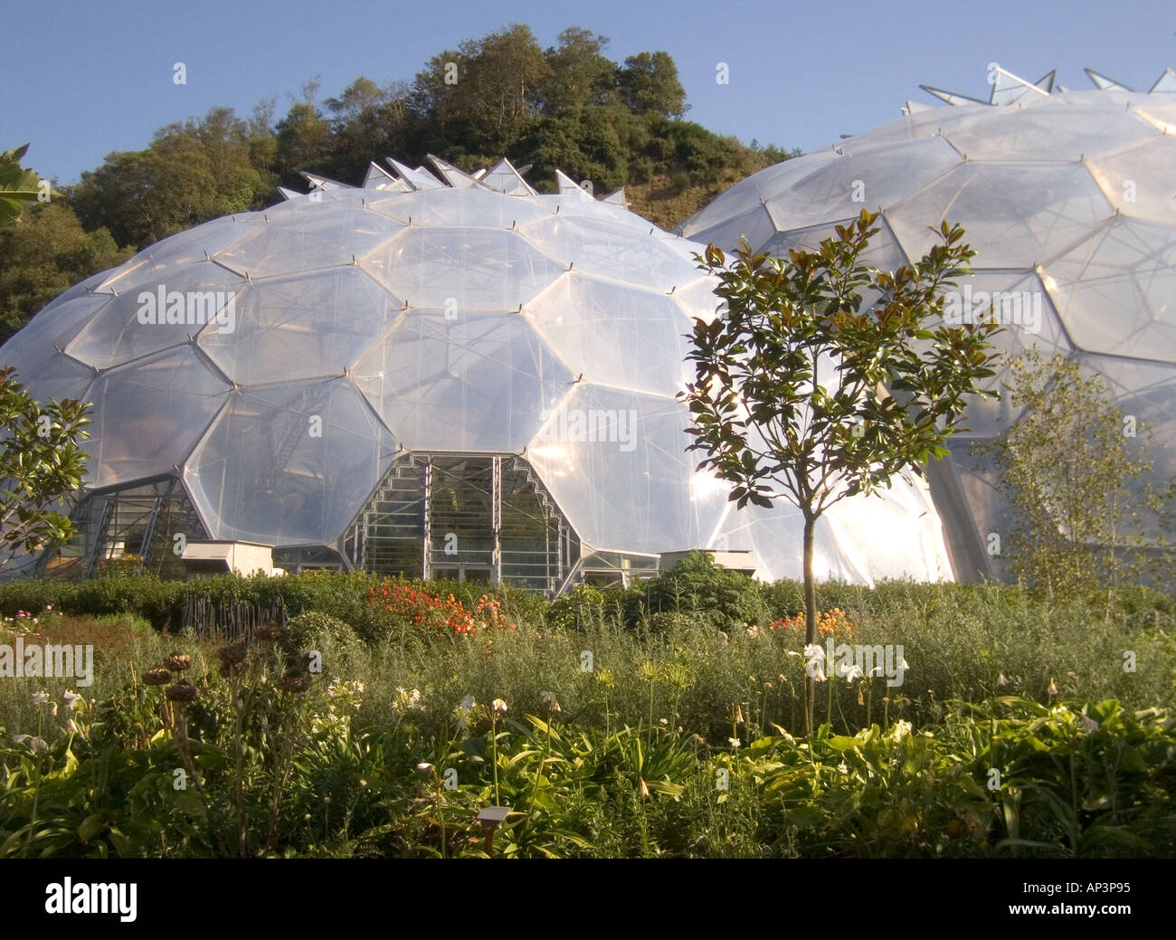 one of the two biomes of the eden project st austell cornwall england ...