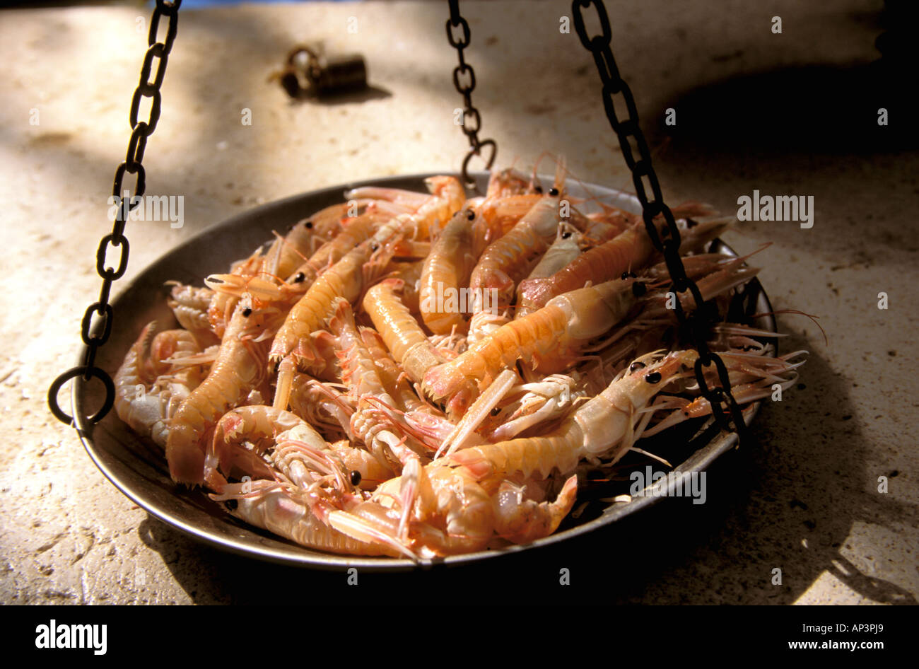 Europe, Croatia, Sibenik. Shrimp at open fish market Stock Photo - Alamy
