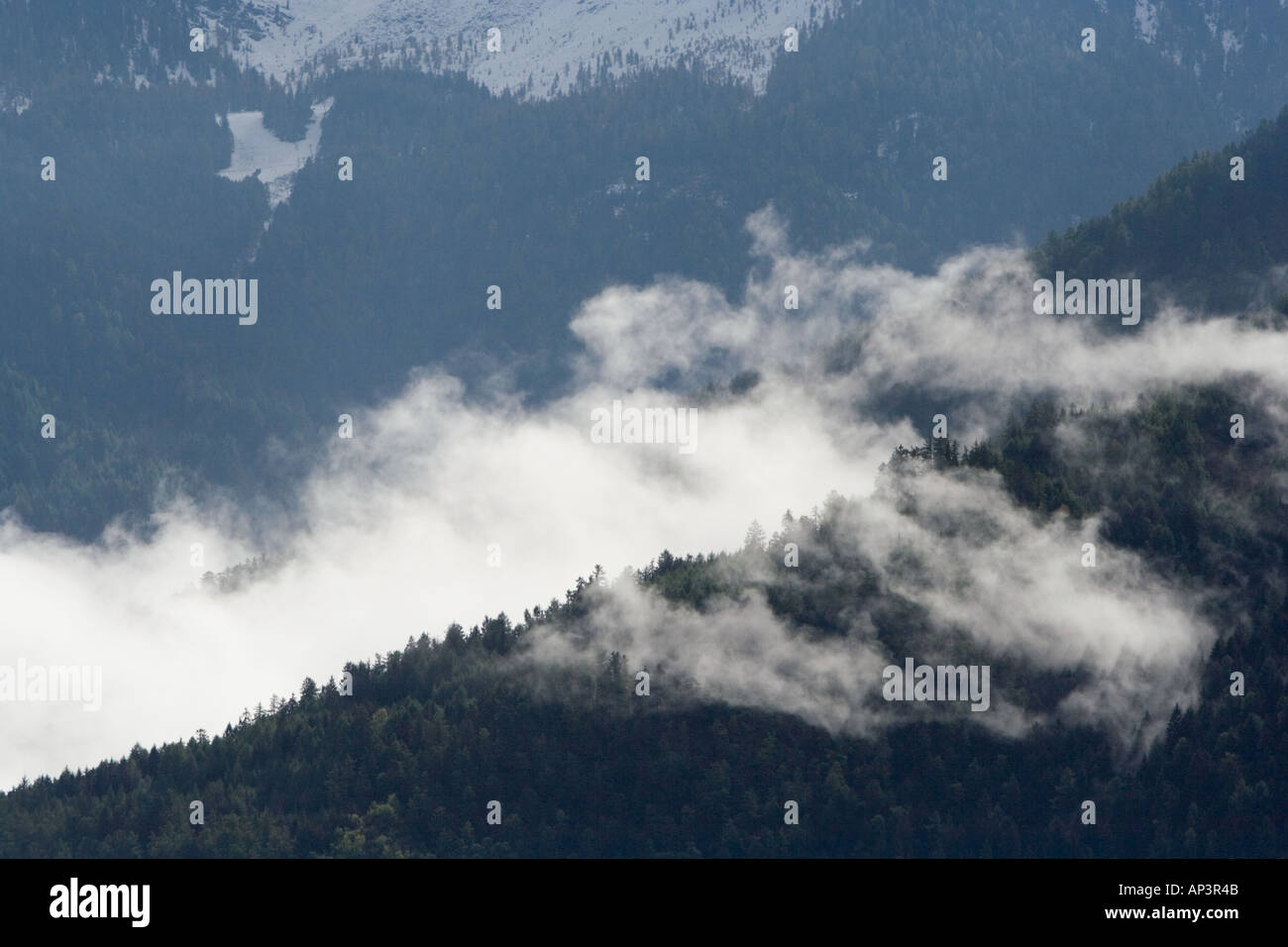 Low cloud hugging mountain forests in Venosta Valley, Italy Stock Photo ...