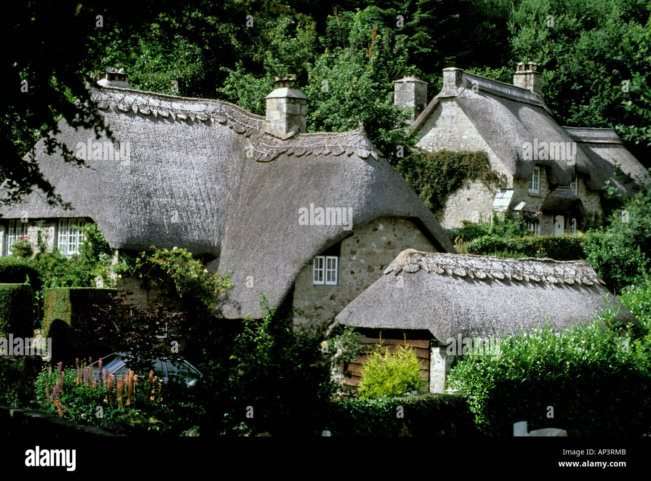 Buckland in the moor hi-res stock photography and images - Alamy