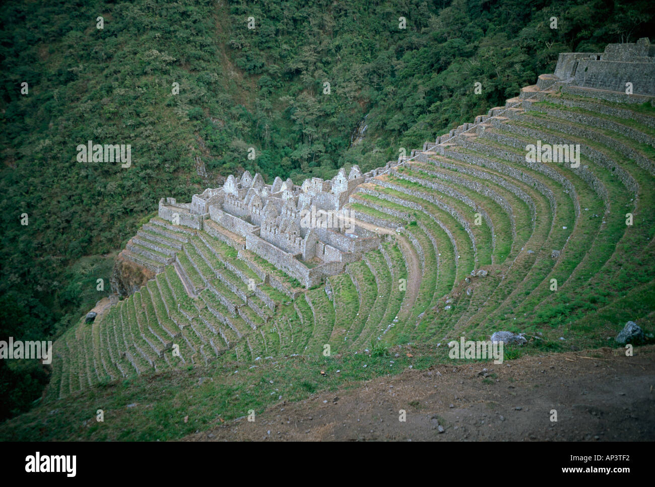 Winaywayna inca ruins hi-res stock photography and images - Alamy