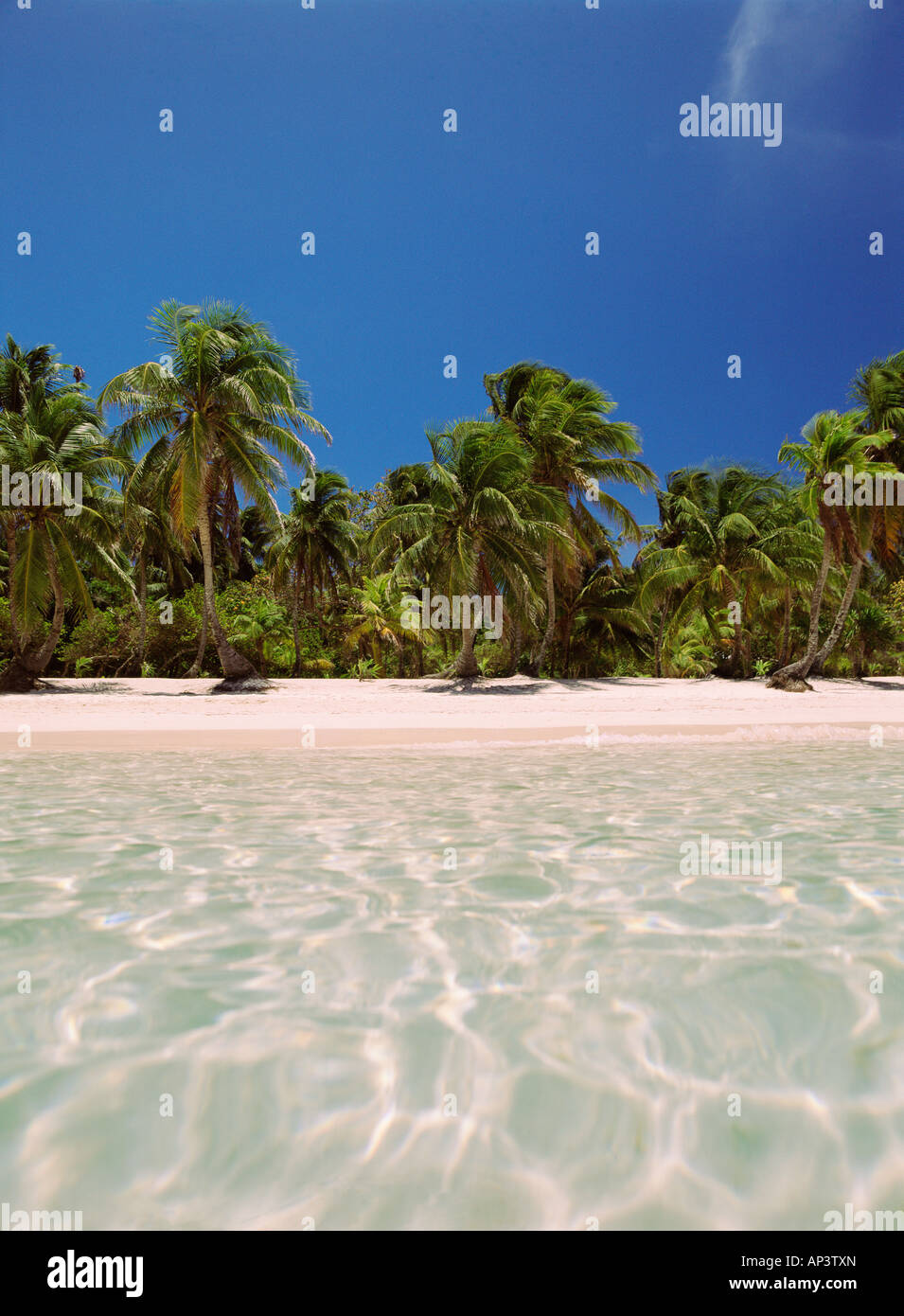 Tabyana beach on roatan island Stock Photo - Alamy