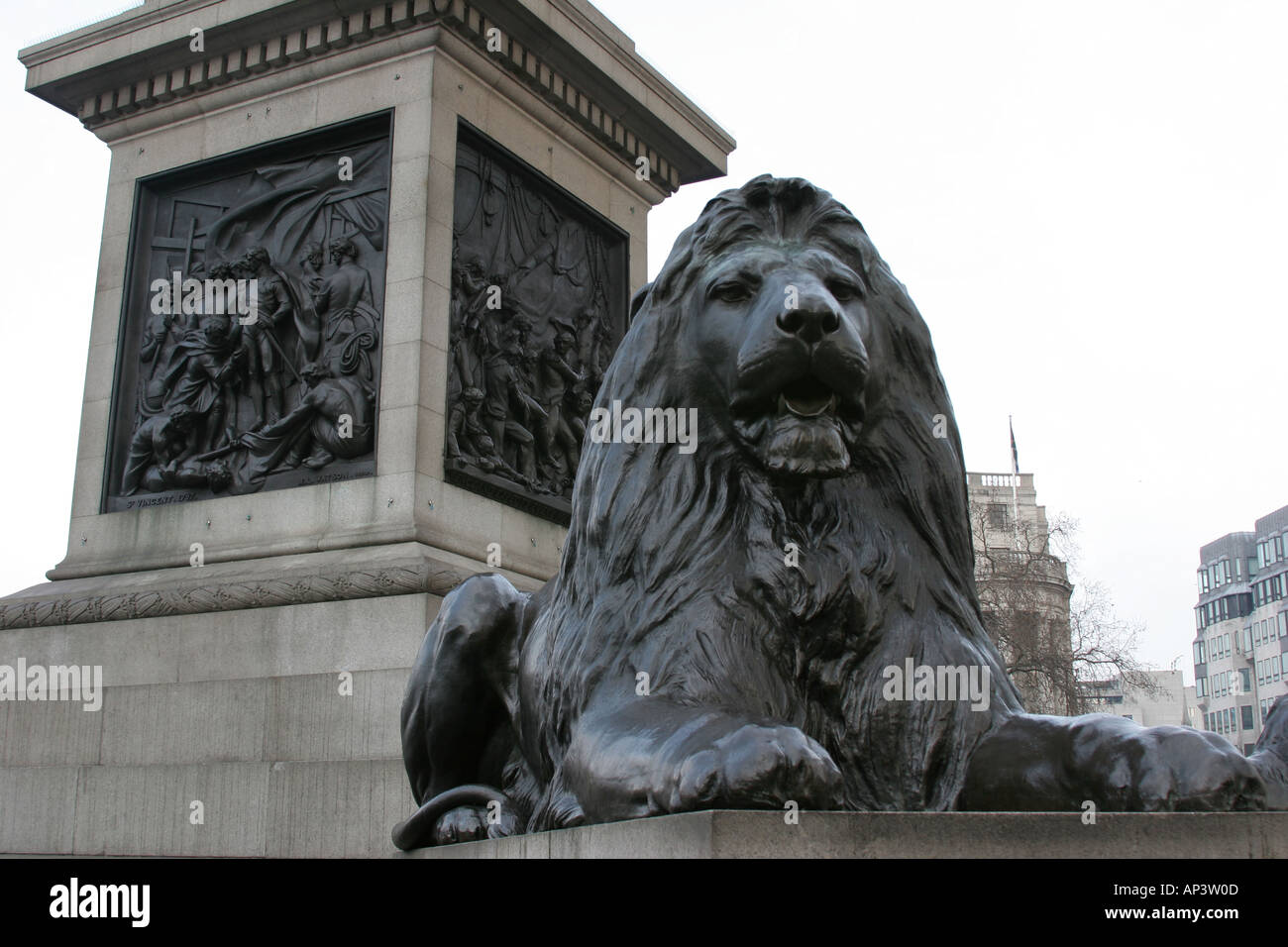 lions in trafalgar square head detail views of london england uk Stock ...