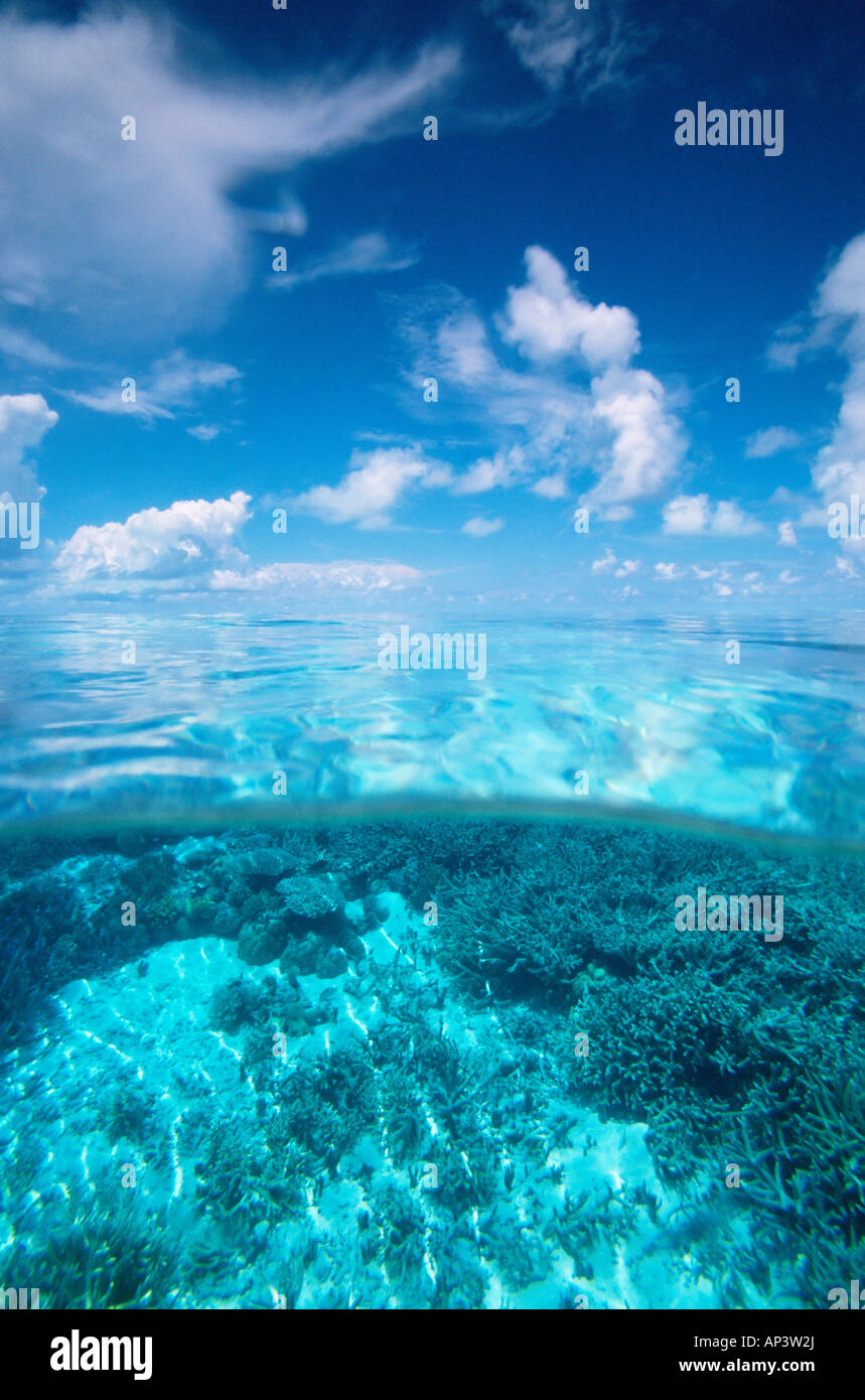 The palau hi-res stock photography and images - Alamy