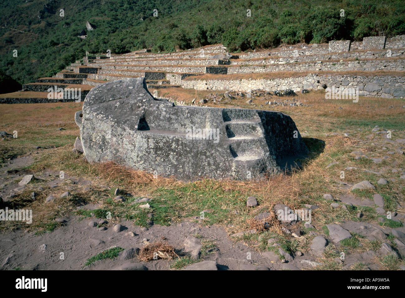 The Funerary Rock Machu Picchu Peru Stock Photo - Alamy