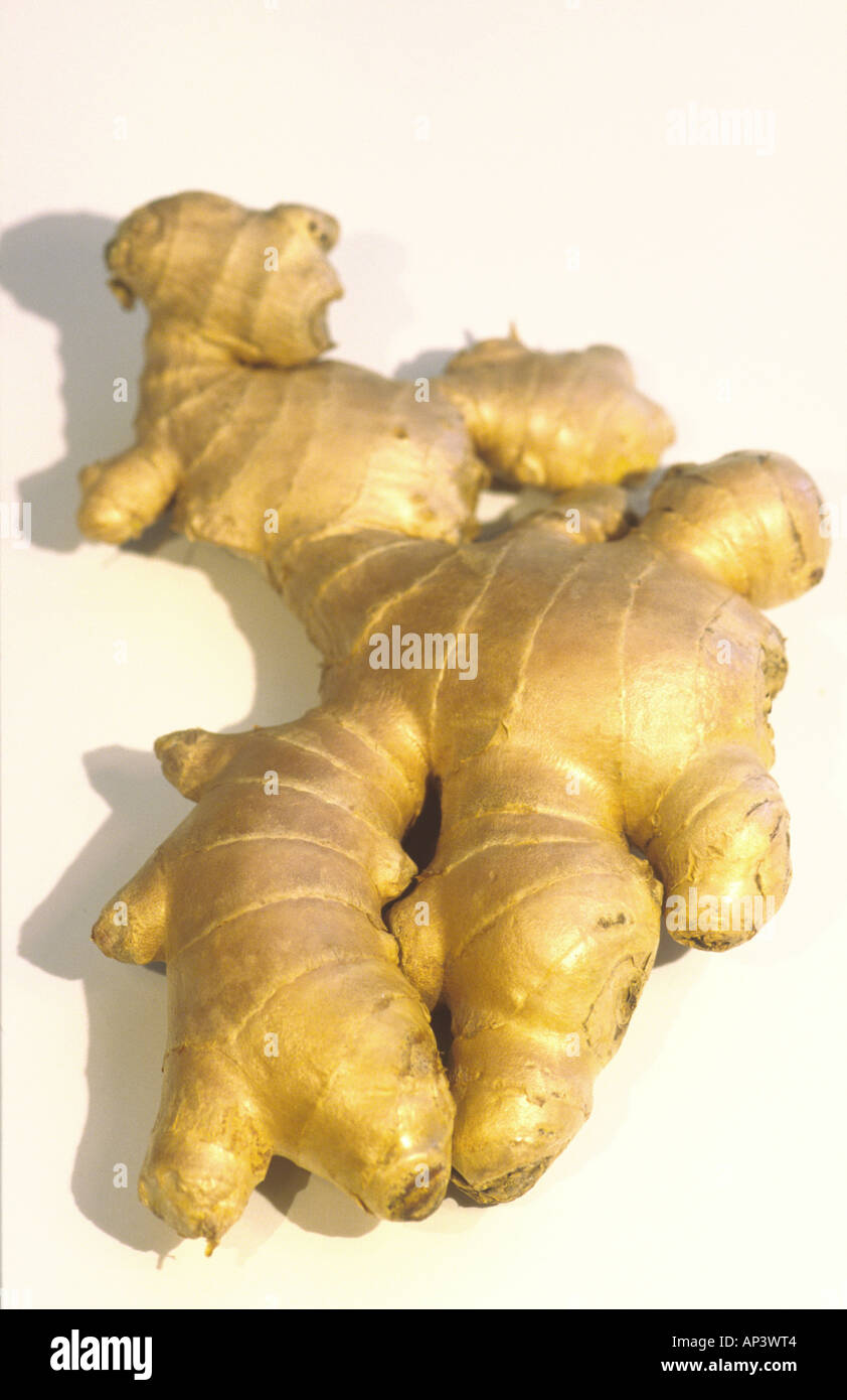 Ginger rhizomes zingiber officinale hi-res stock photography and images ...