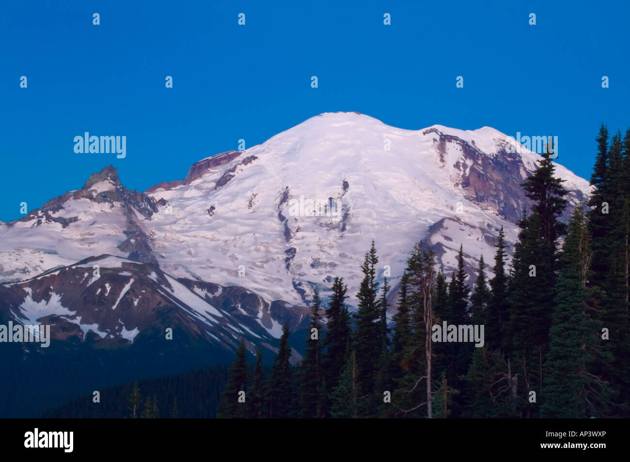 Rainier Before Dawn Stock Photo - Alamy