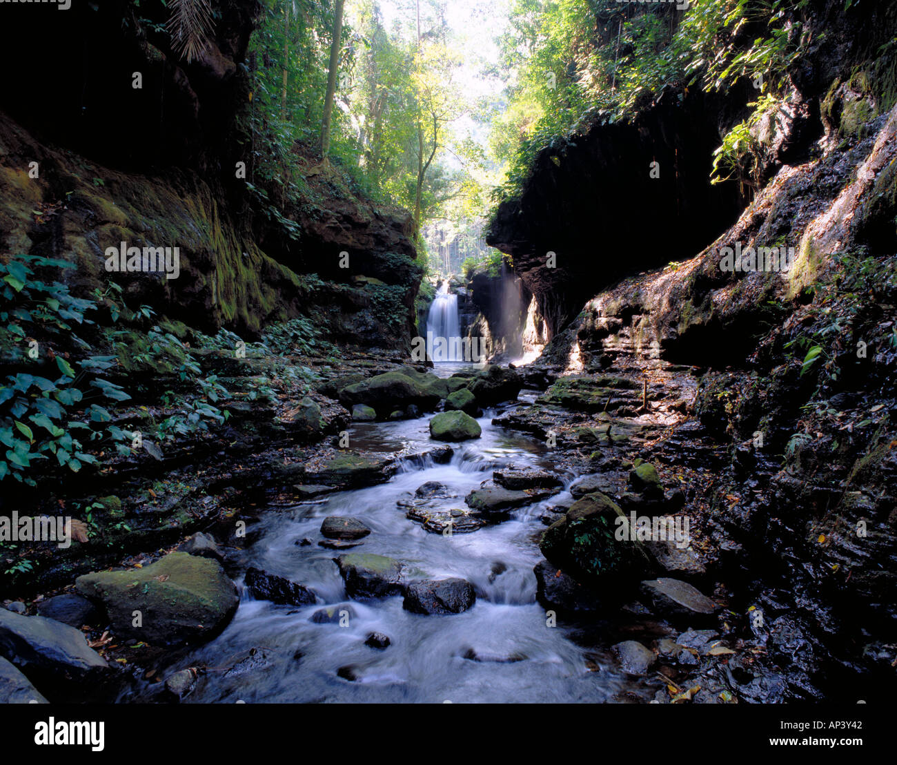 A hidden falls within a hidden valley in the middle of a rainforest ...