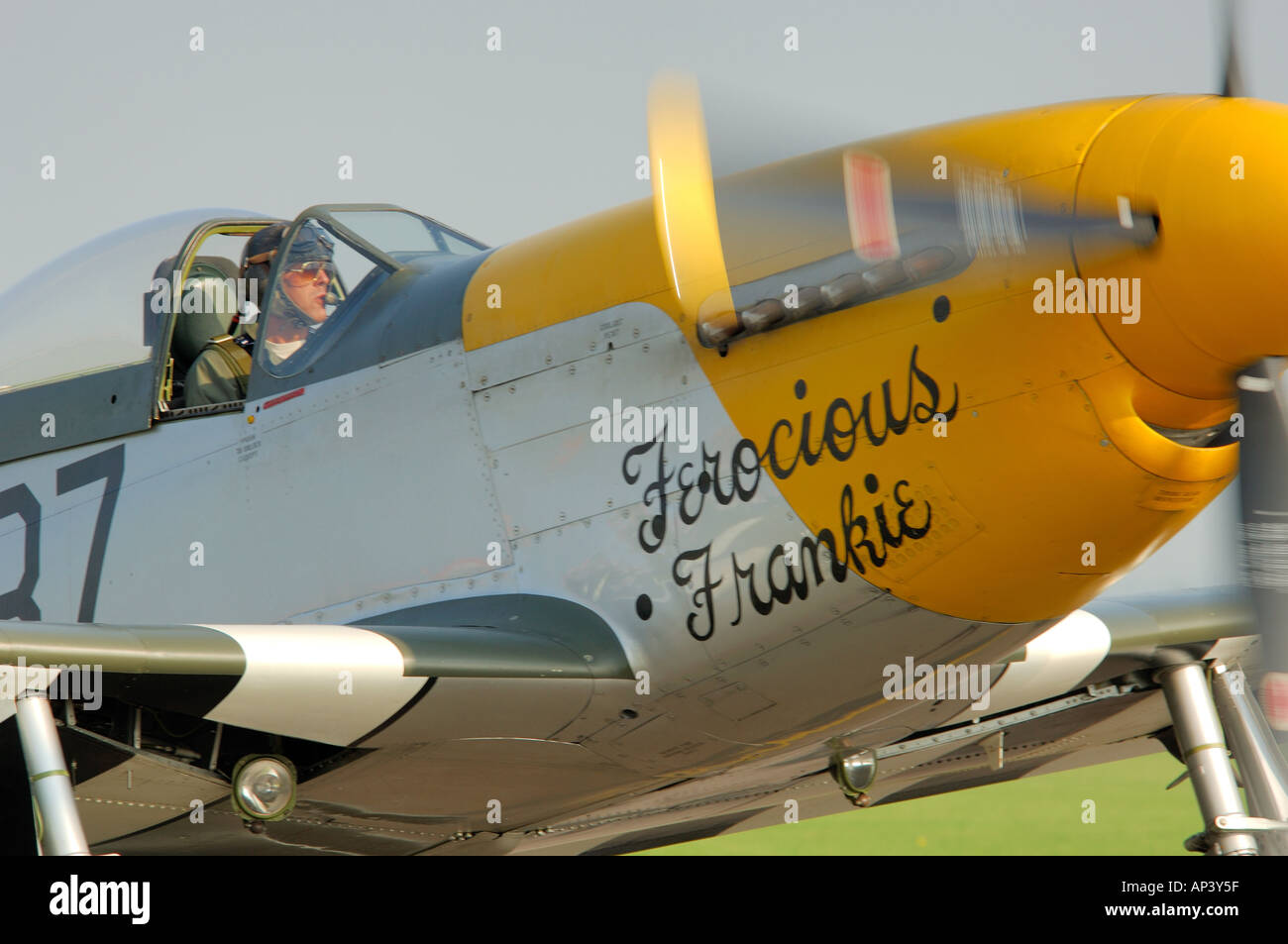 P51D Mustang American WWII fighter aircraft Ferocious Frankie Stock ...